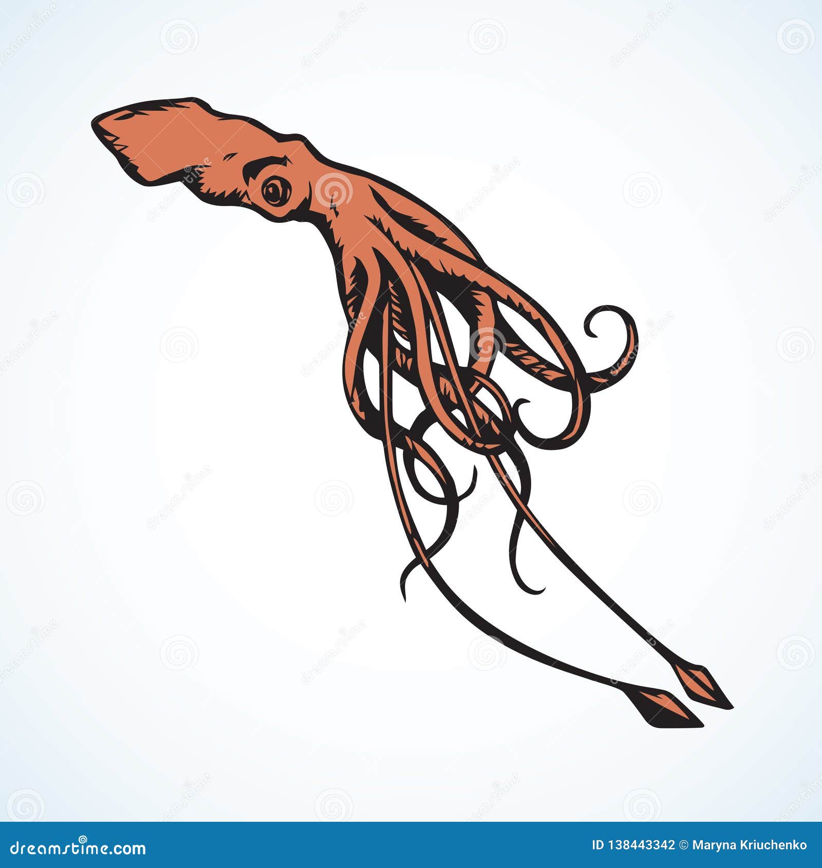 Calamar Gráfico del vector ilustración del vector. Ilustración de carne ...