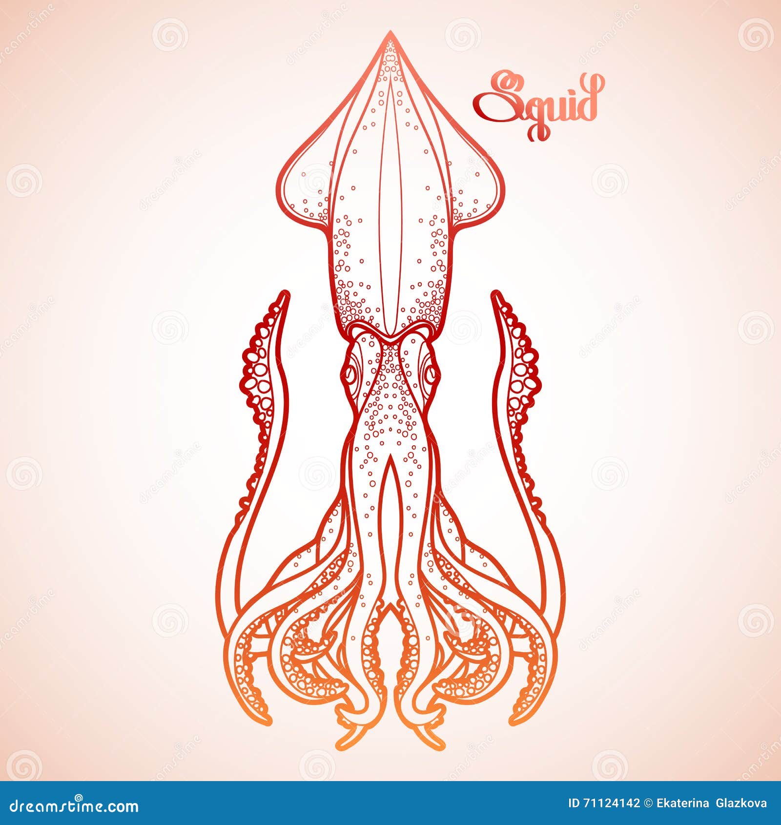 Calamar gráfico del vector ilustración del vector. Ilustración de tinta ...