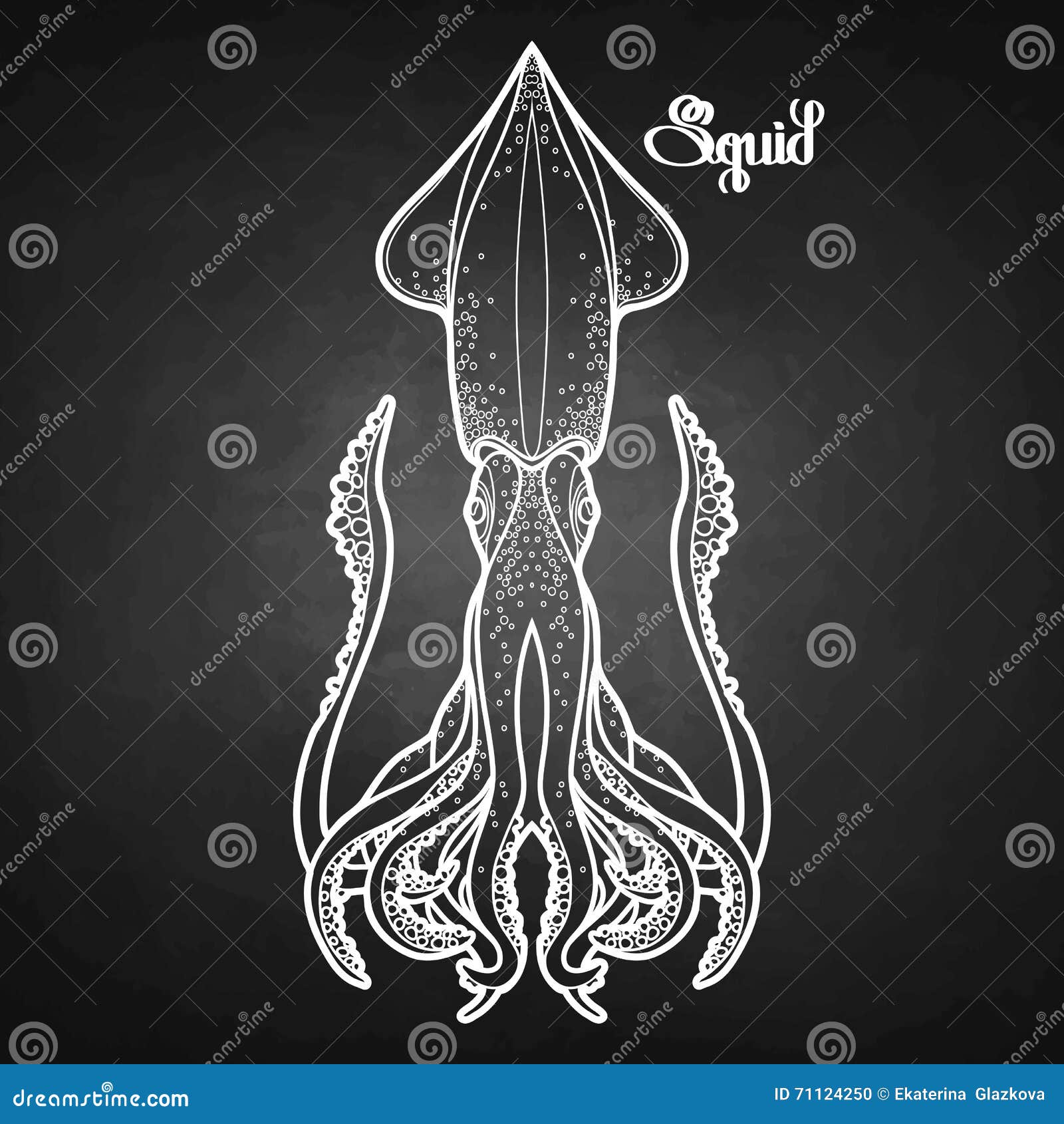 Calamar gráfico del vector ilustración del vector. Ilustración de ...