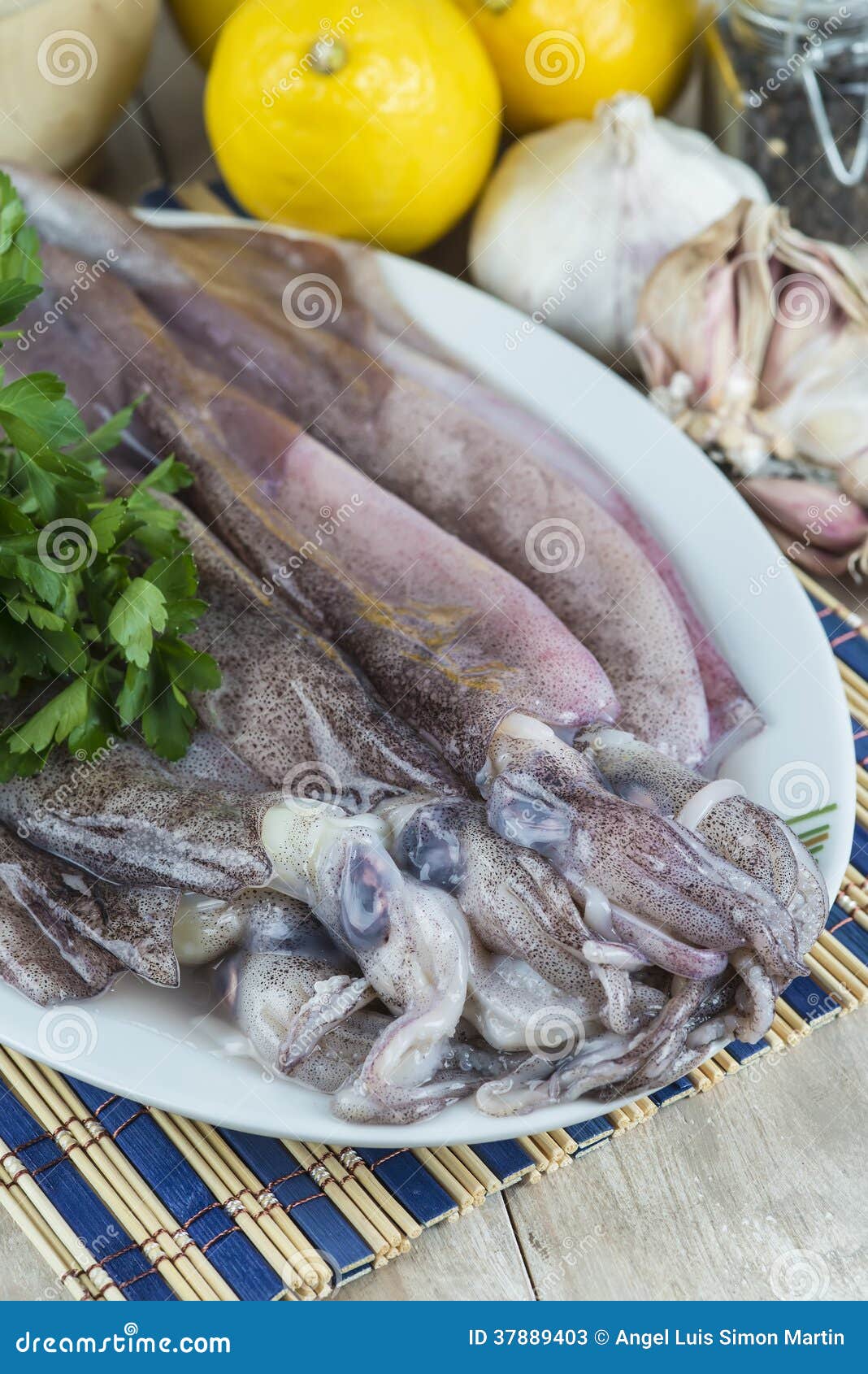 Calamares frescos imagem de stock. Imagem de chocos, ervas - 37889403