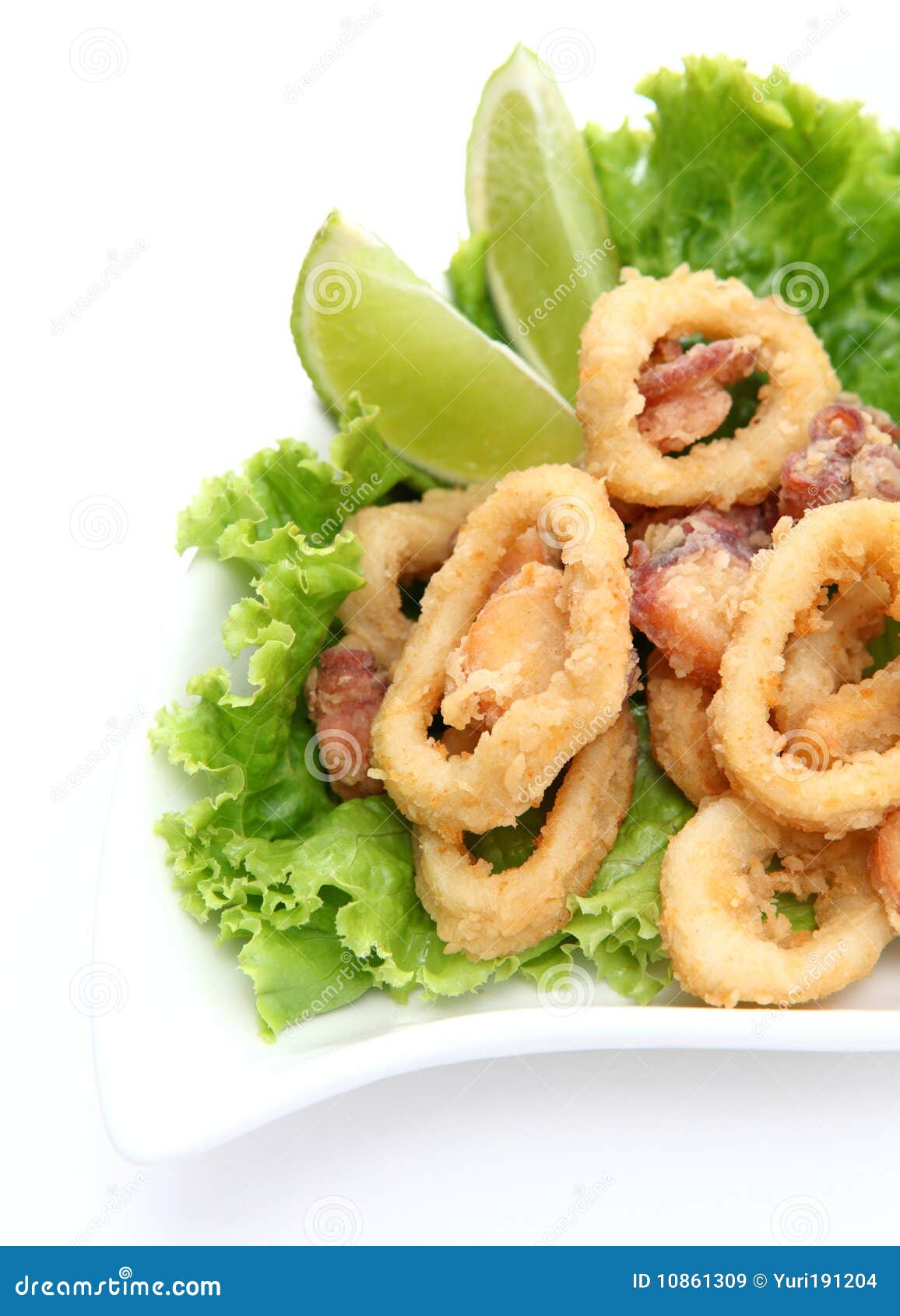 Calamari stock image. Image of fish, meal, calamares - 10861309