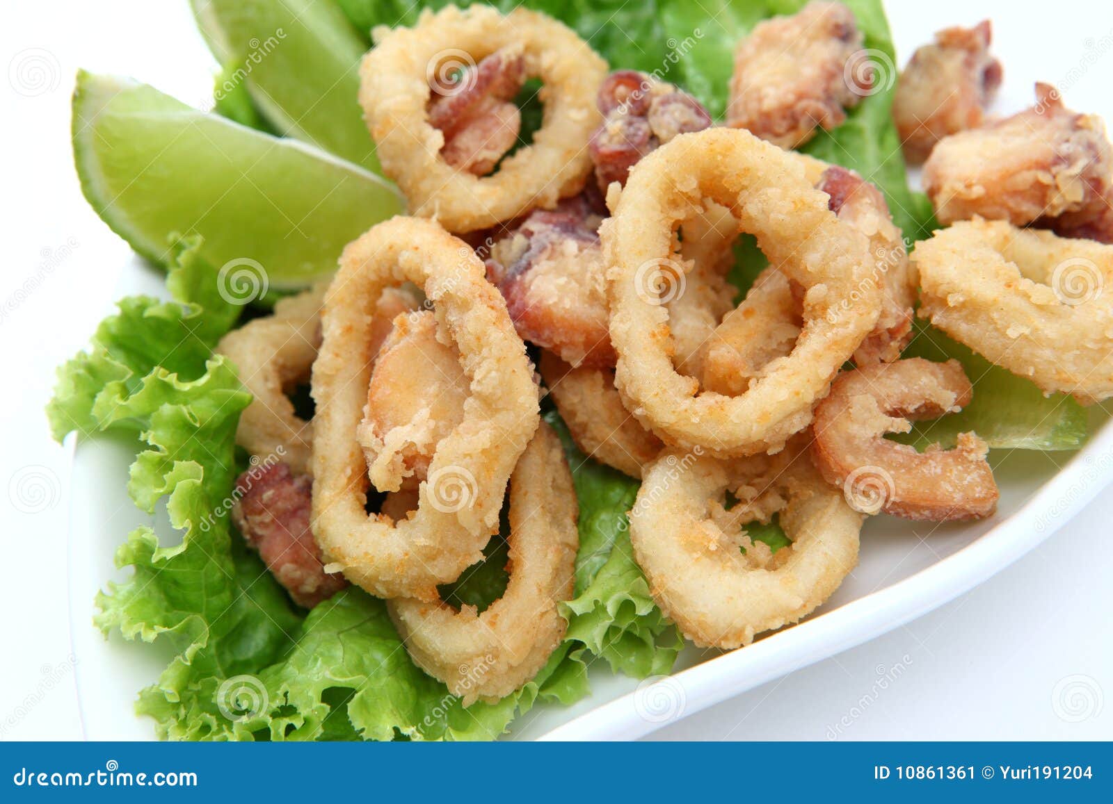 Calamari stock image. Image of calamari, cook, lunch - 10861361
