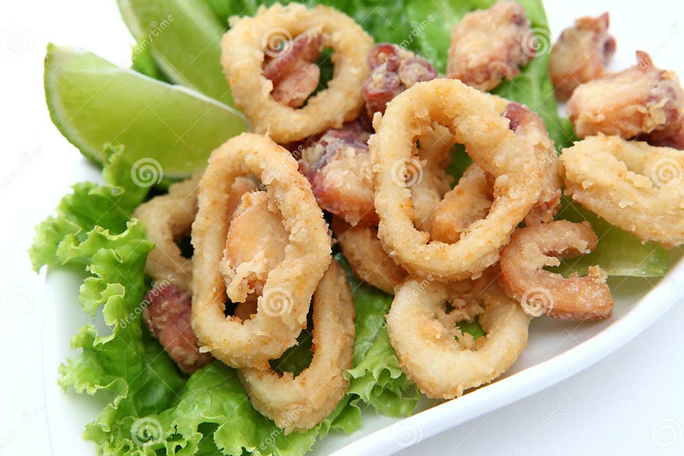 Calamari stock image. Image of calamari, cook, lunch - 10861361