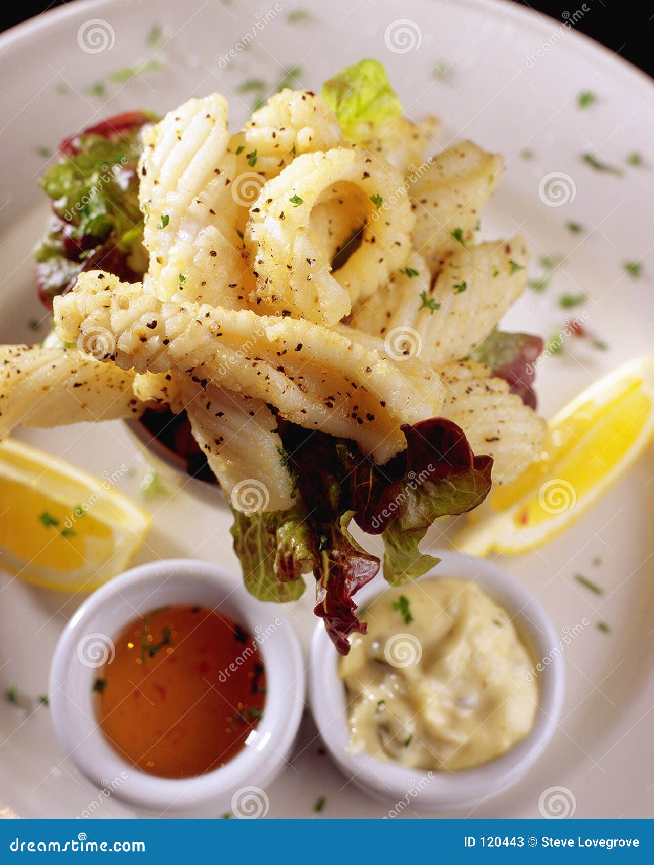 Calamari stock image. Image of seafood, calamari, food - 120443