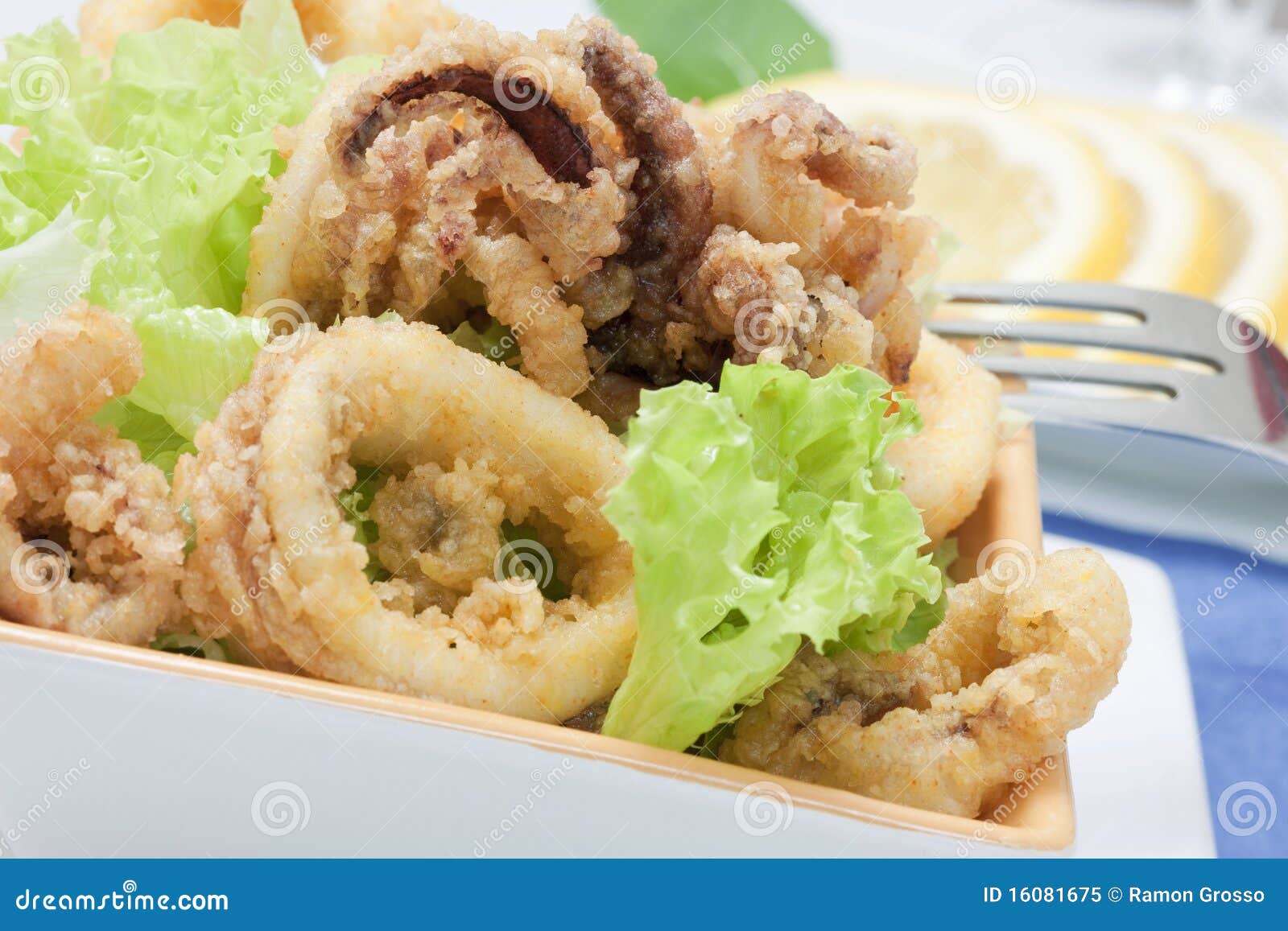 Calamari stock image. Image of calamari, breaded, restaurant - 16081675