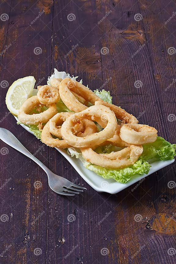 Calamari stock image. Image of dinner, restaurant, crumbed - 21453185