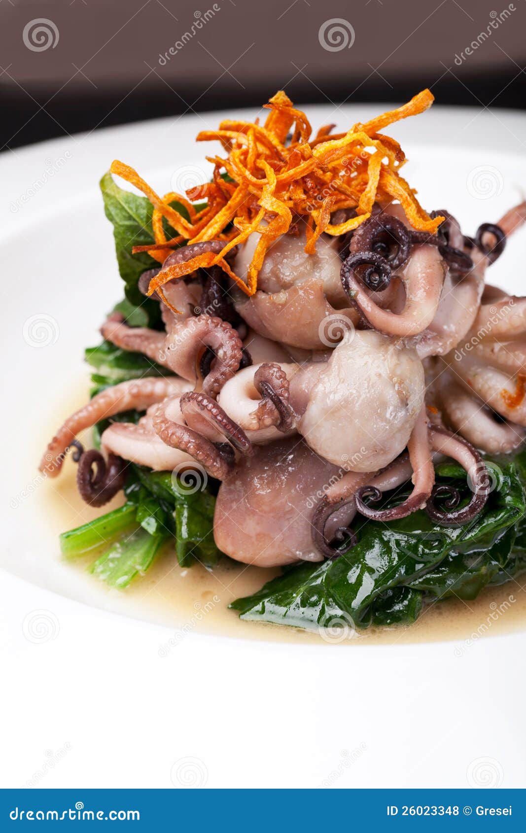 Calamari stock photo. Image of spice, close, culture - 26023348