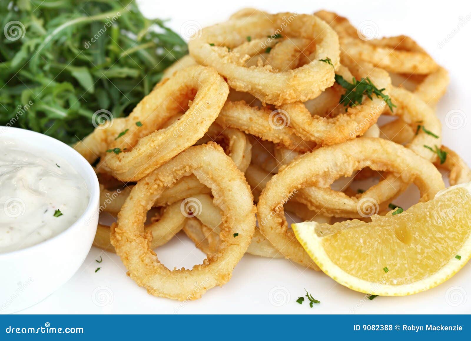 Calamari foto de archivo. Imagen de alimento, salsa, empanado - 9082388