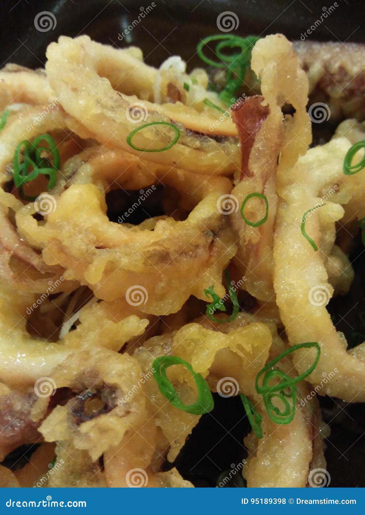 Calamari stock photo. Image of delish, yummy, shallot - 95189398