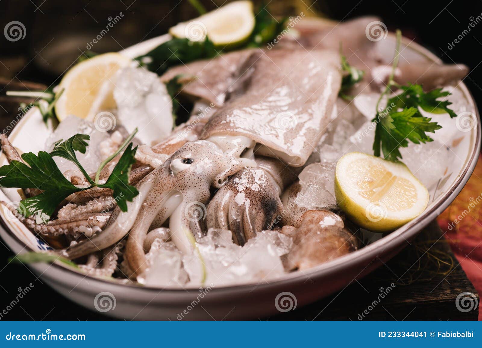 Calamari and Squids Just Fished Stock Image - Image of uncooked, squids ...