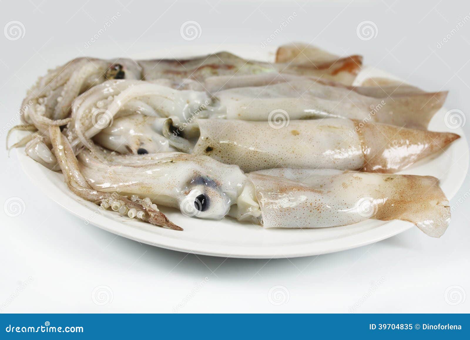 Calamaro fresco, crudo immagine stock. Immagine di cucina - 39704835