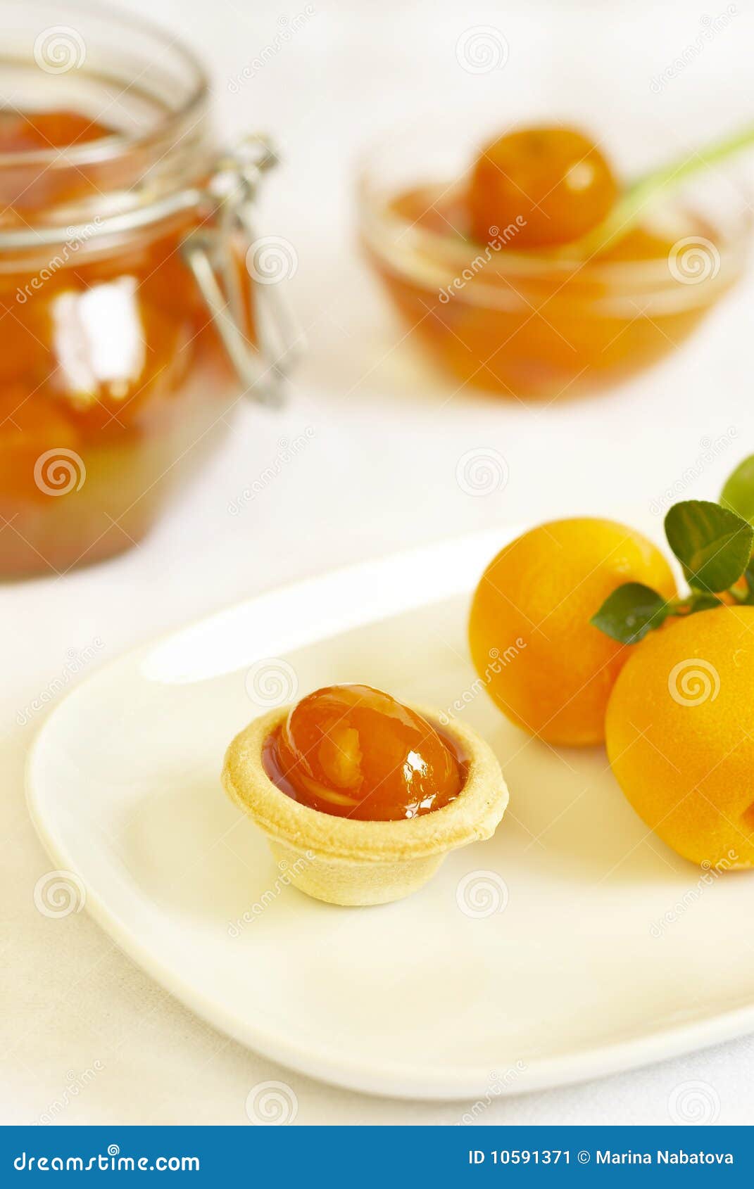Calamondin and kumquat jam stock image. Image of delicacy - 10591371