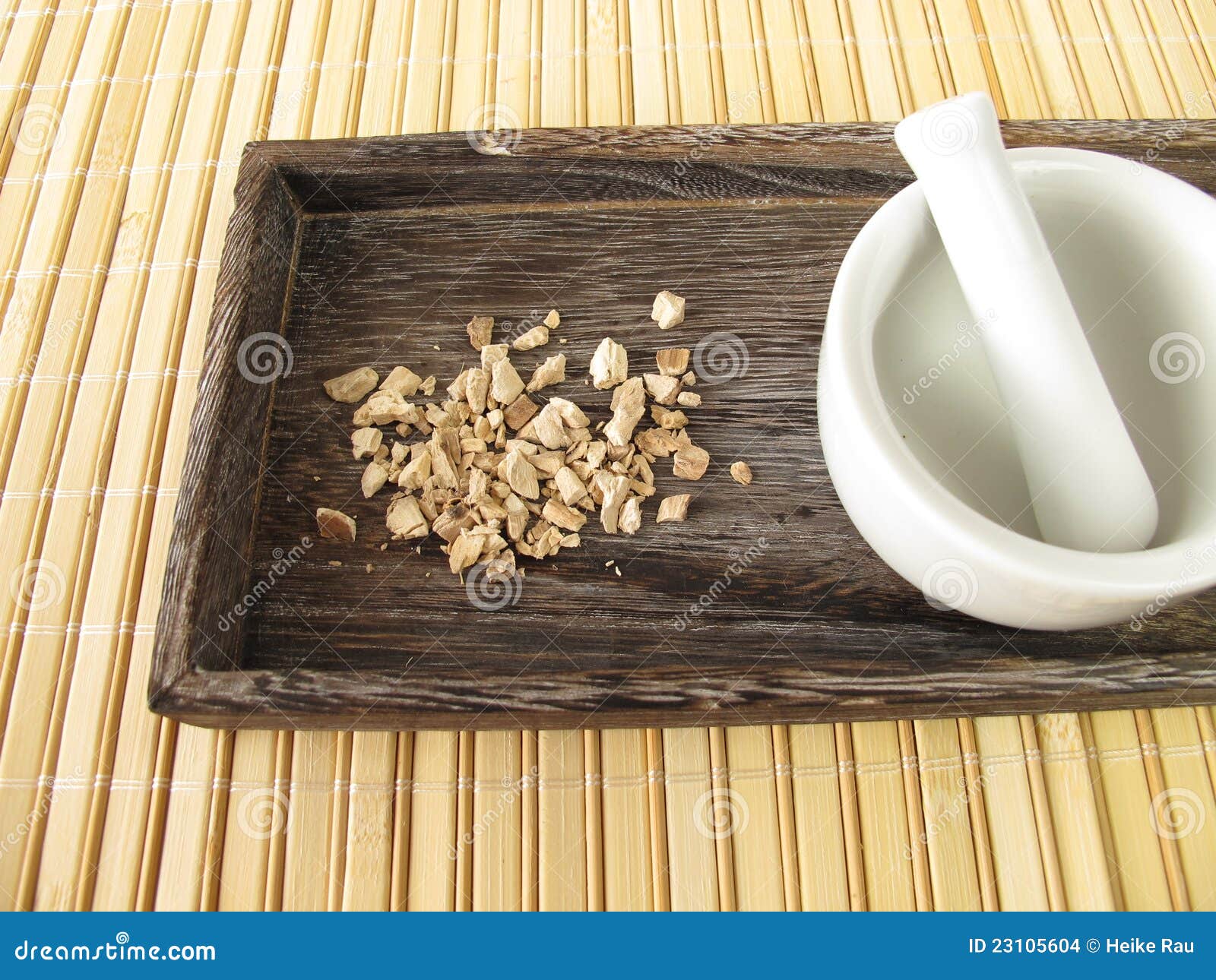 Calamus Root, Calami Rhizoma Stock Photo - Image of plant, alternative ...