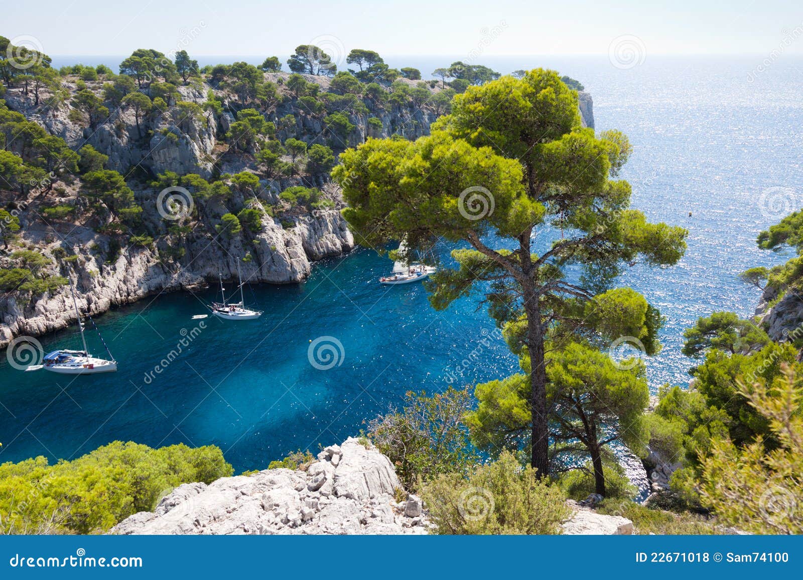 Calanques of Port Pin in Cassis Stock Photo - Image of beauty, cliff ...