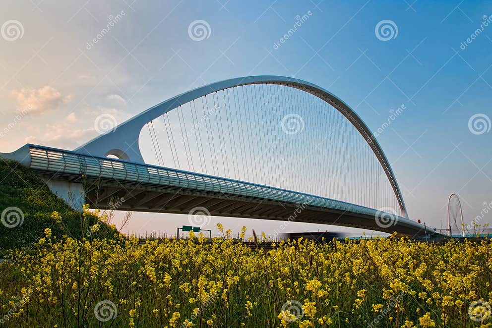 Calatrava Bridge editorial stock photo. Image of architecture - 13930083