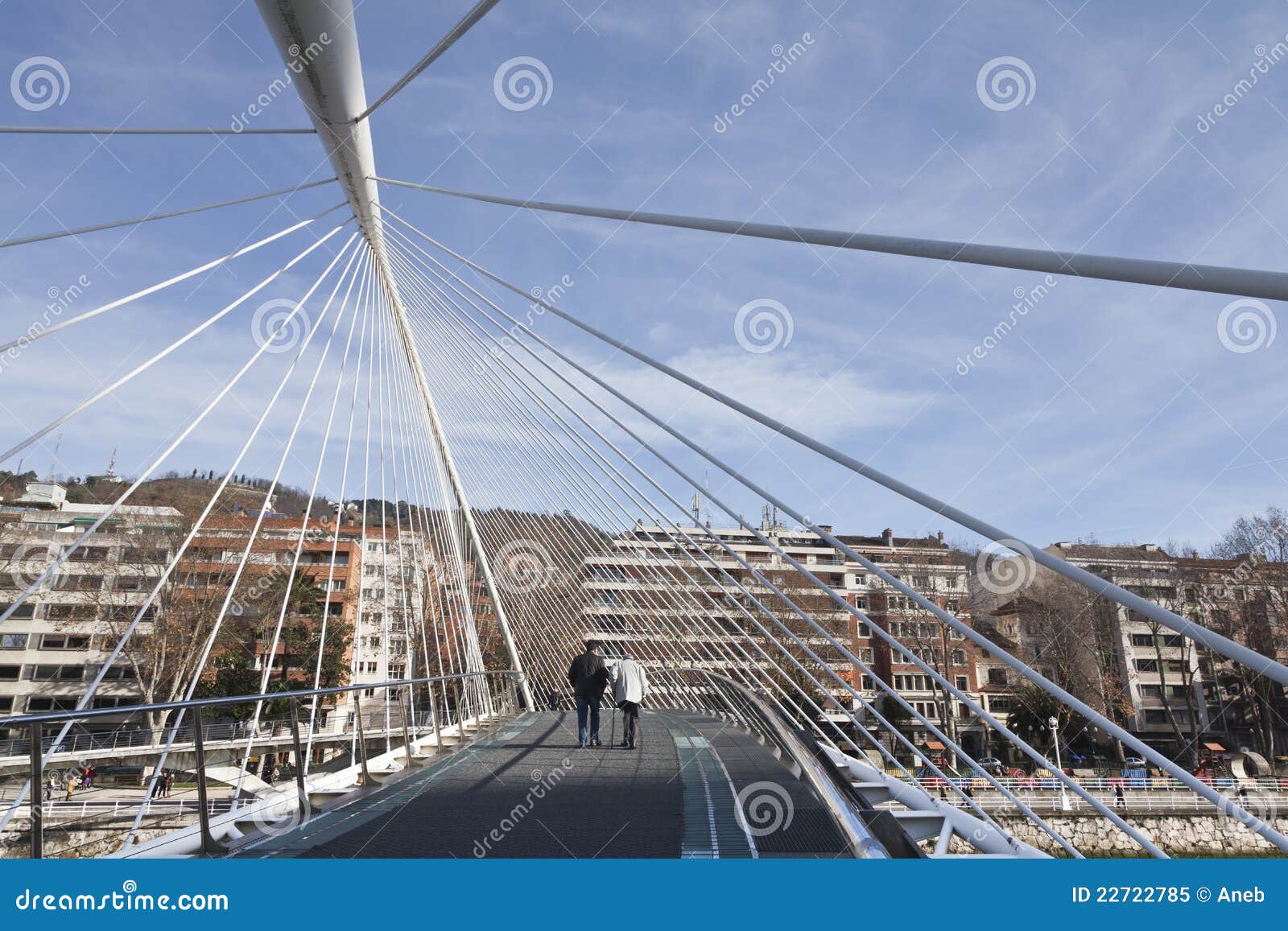 Calatrava Bridge editorial image. Image of city, suspension - 22722785