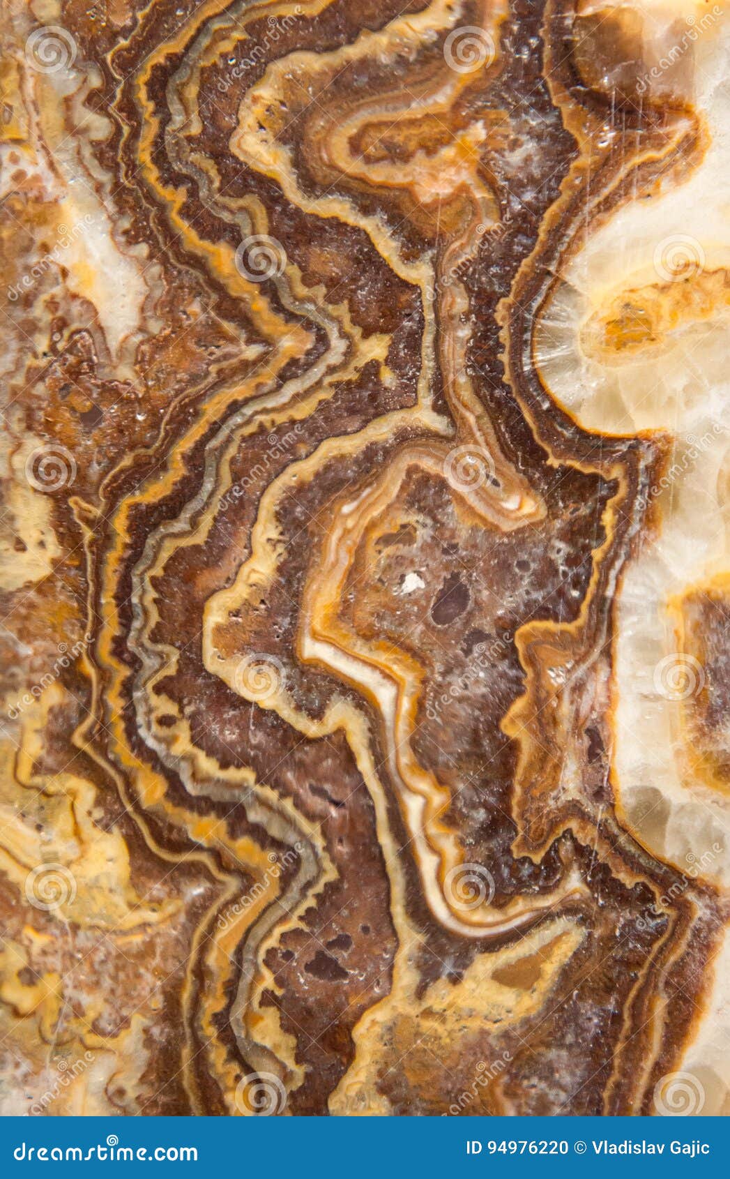 Calcareous Sinter from Rome, Italy Stock Photo - Image of calcsinter ...