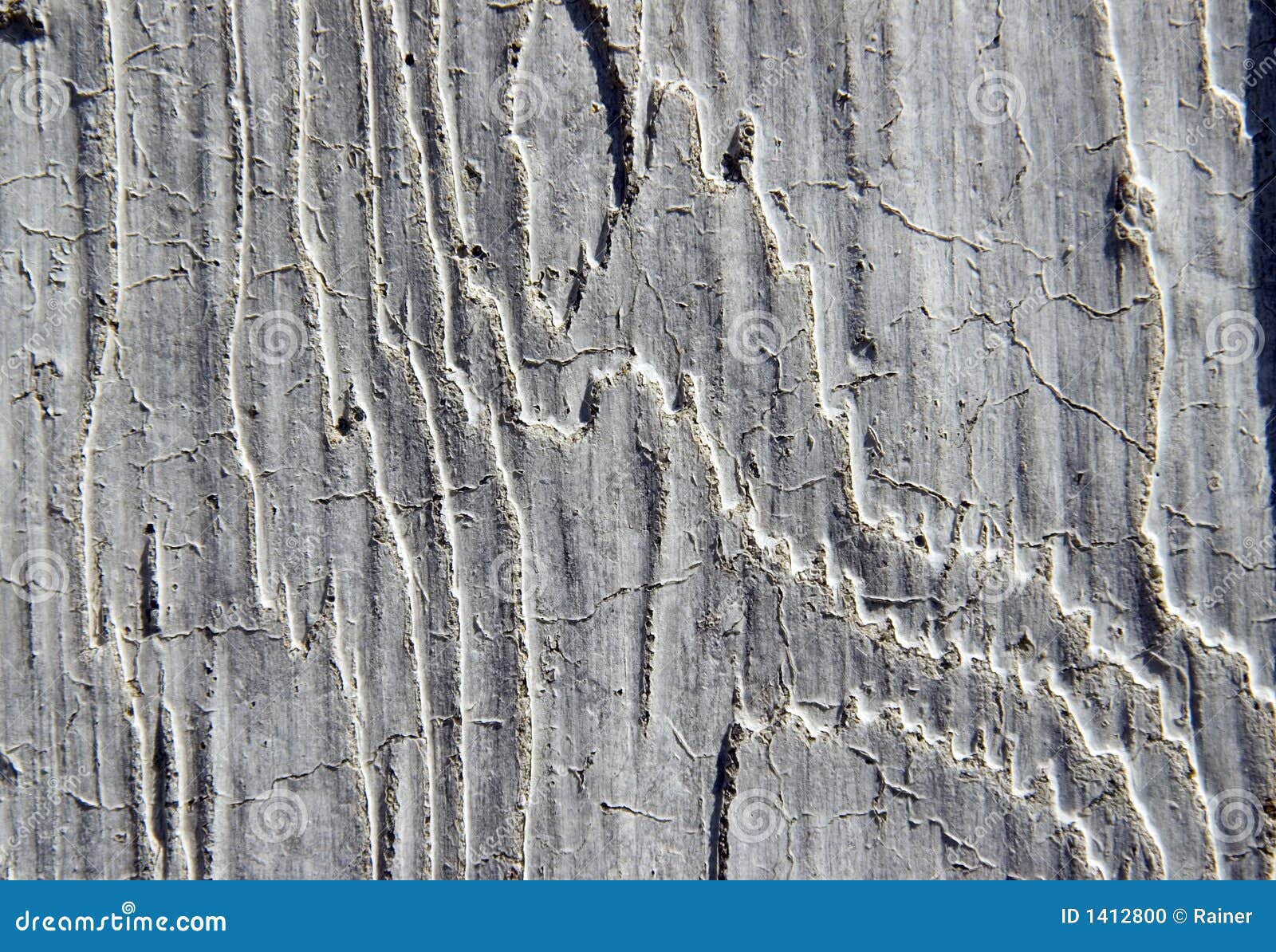 Calcestruzzo di legno fotografia stock. Immagine di grano - 1412800
