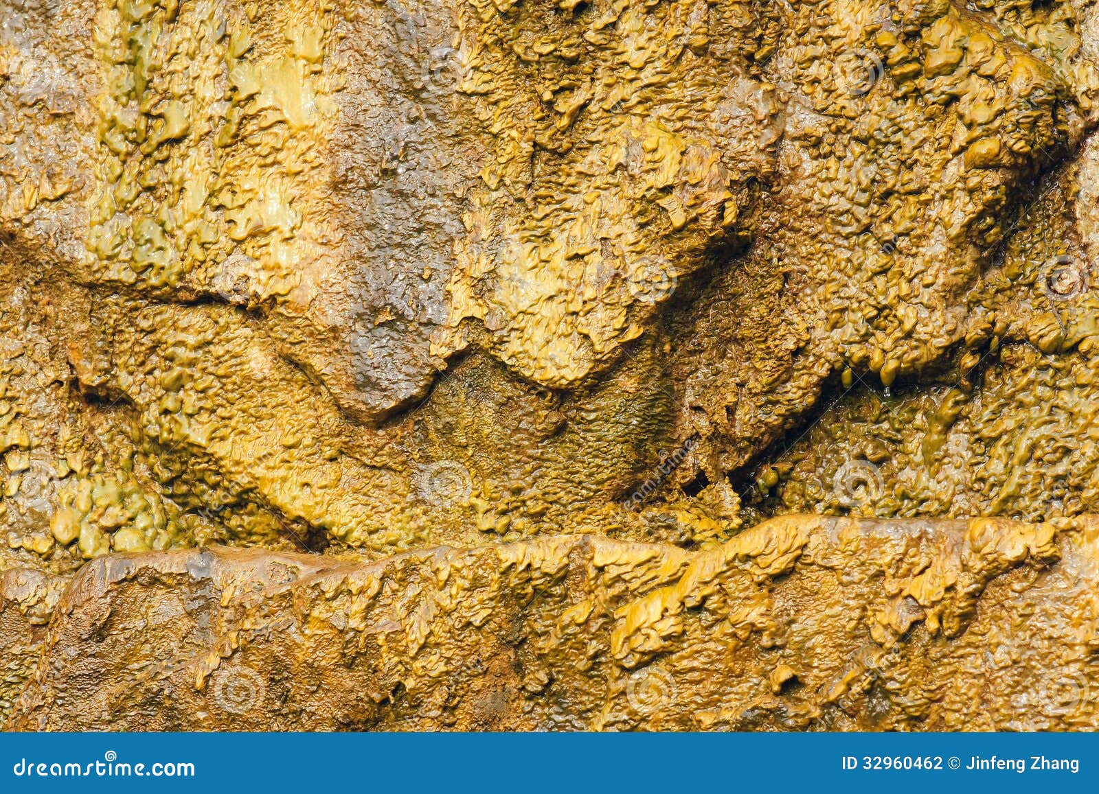 Calcification Surface Stock Photography | CartoonDealer.com #32960462