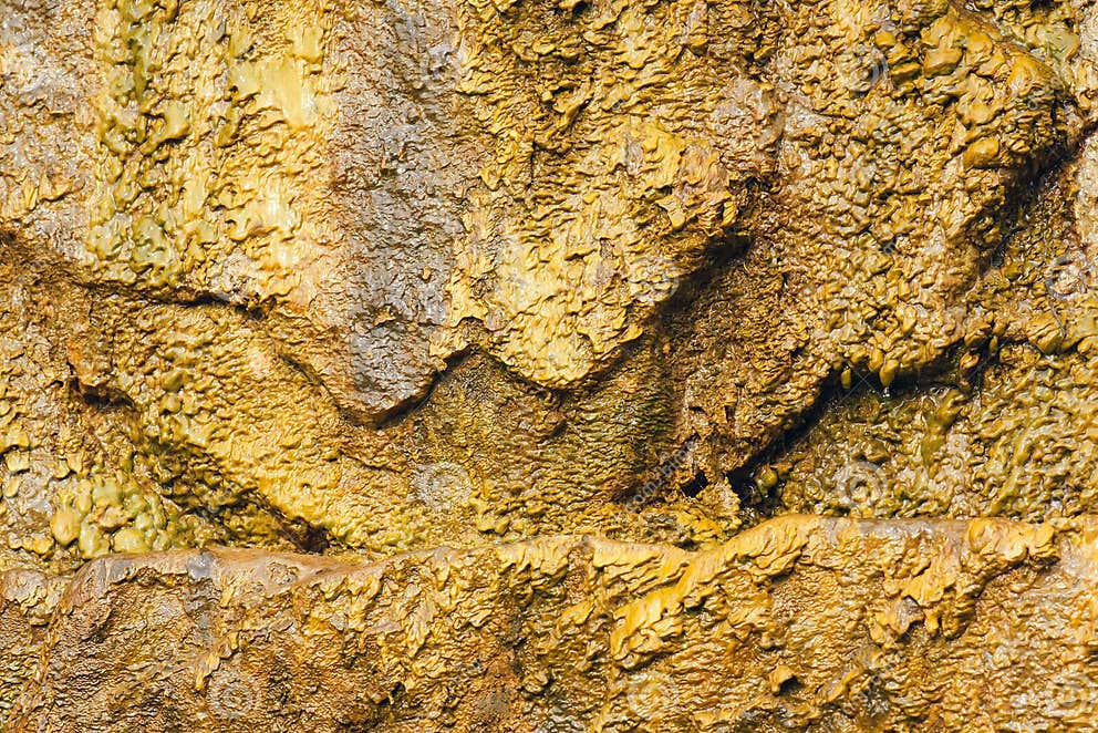 Calcification surface stock photo. Image of wall, background - 32960462