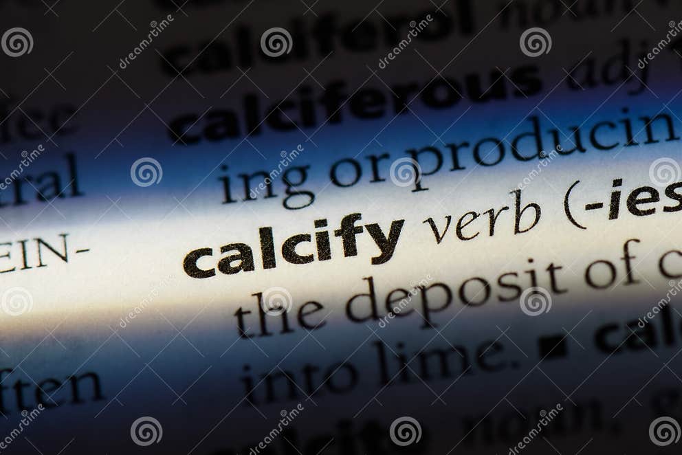 Calcify stock image. Image of text, calcify, macro, definition - 114405593