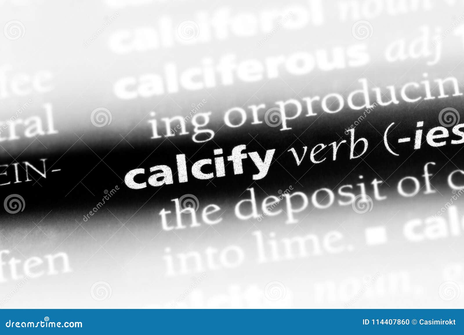 Calcify stock photo. Image of page, closeup, info, definition - 114407860