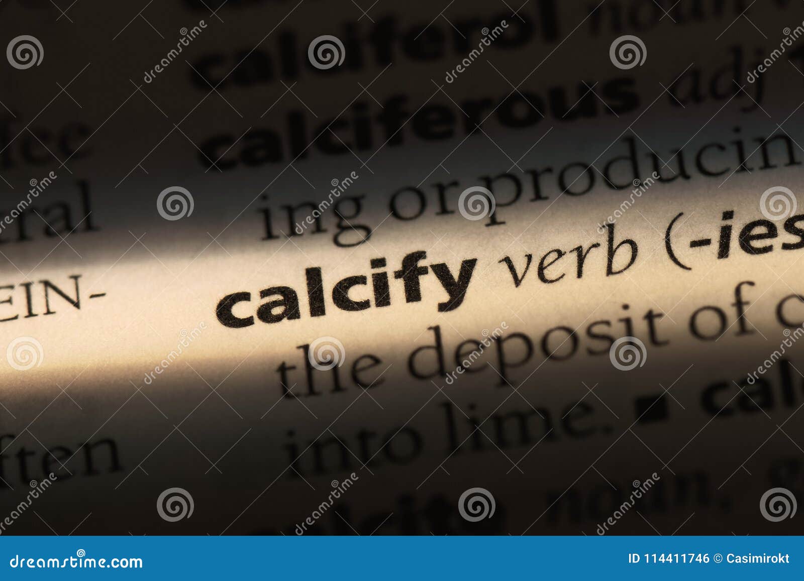 Calcify stock photo. Image of dictionary, info, paper - 114411746