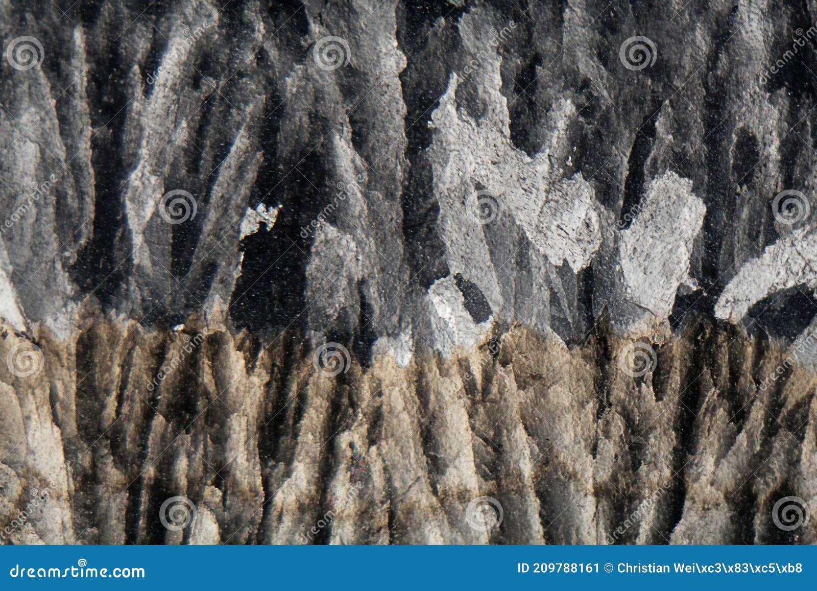 Calcite Crystals Under a Microscope Stock Image - Image of calcareous ...