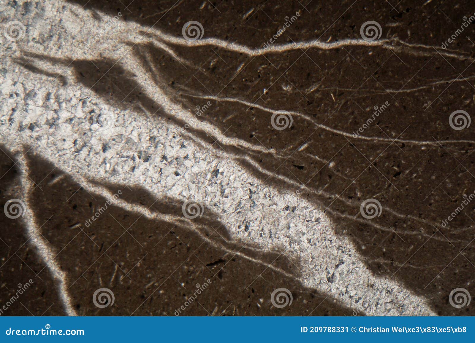 Calcite Vein in a Mudstone Under a Microscope Stock Image - Image of ...