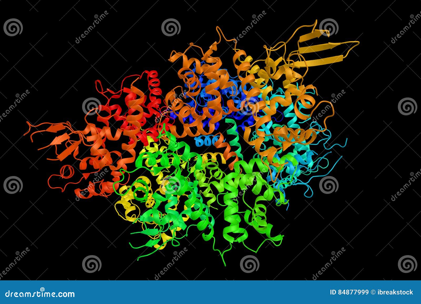 Calcium-binding Atopy-related Autoantigen 1, a Protein Stock ...