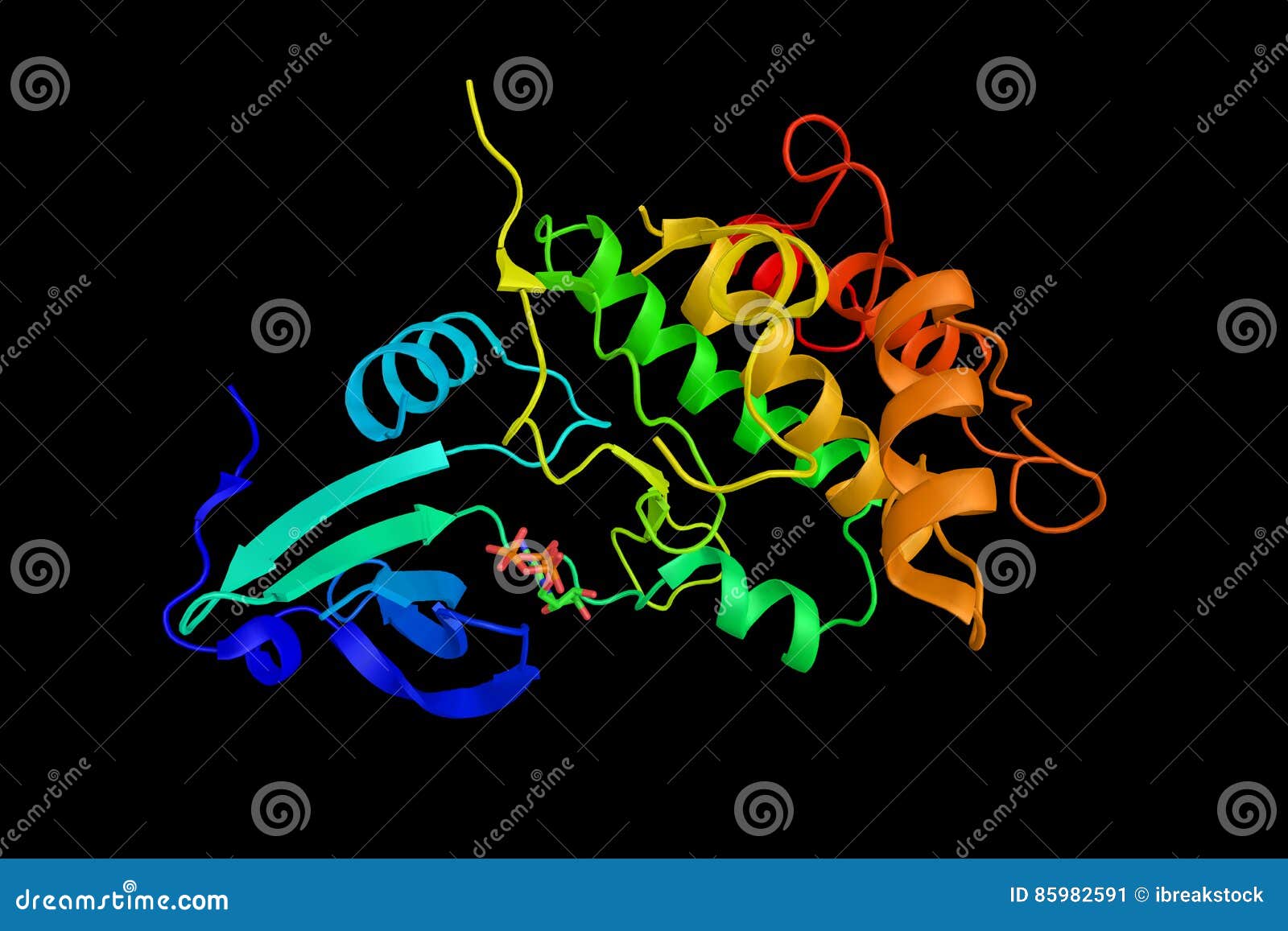 Calcium/calmodulin-dependent Protein Kinase Type 1, Expressed in Stock ...
