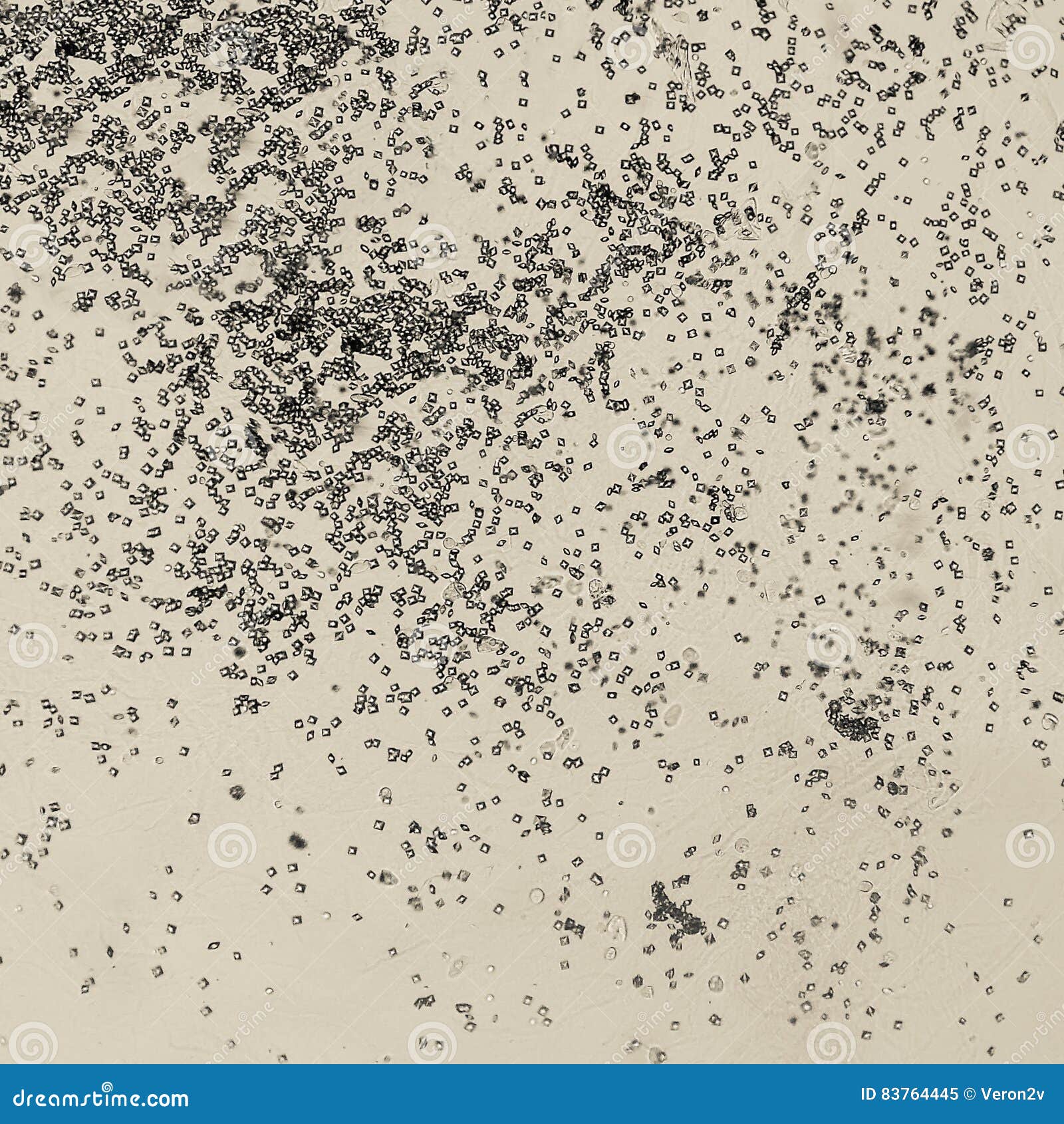 Calcium Urine Test Photos - Free & Royalty-Free Stock Photos from ...