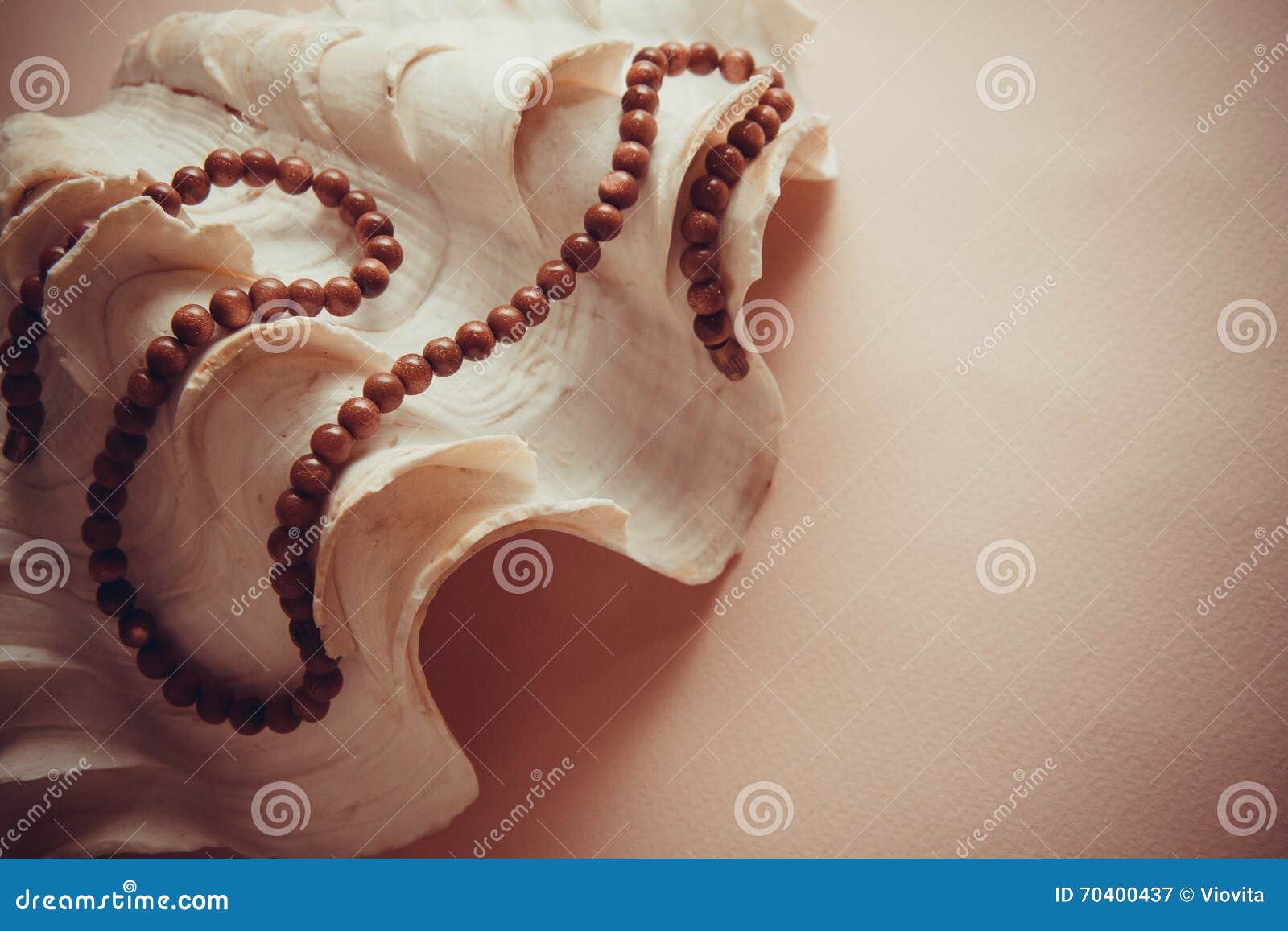 Calcium shells stock image. Image of medical, concept - 70400437