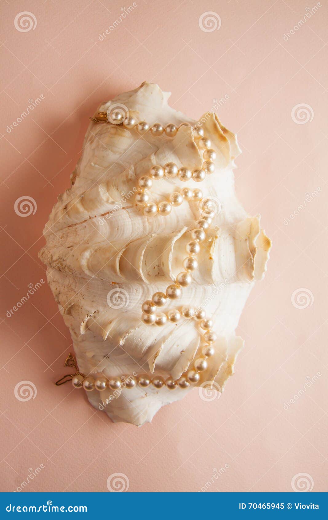 Calcium Shells Stock Image | CartoonDealer.com #70467913
