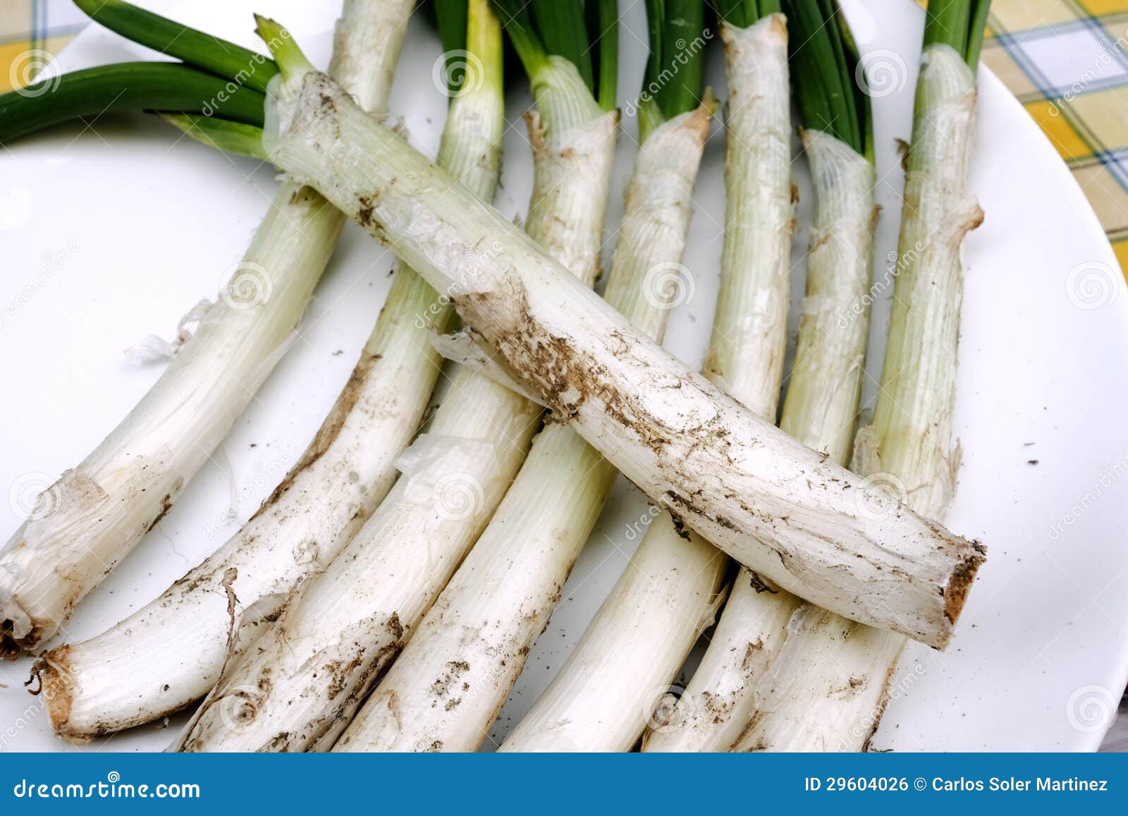 Calcots foto de archivo. Imagen de vida, alimento, foco - 29604026