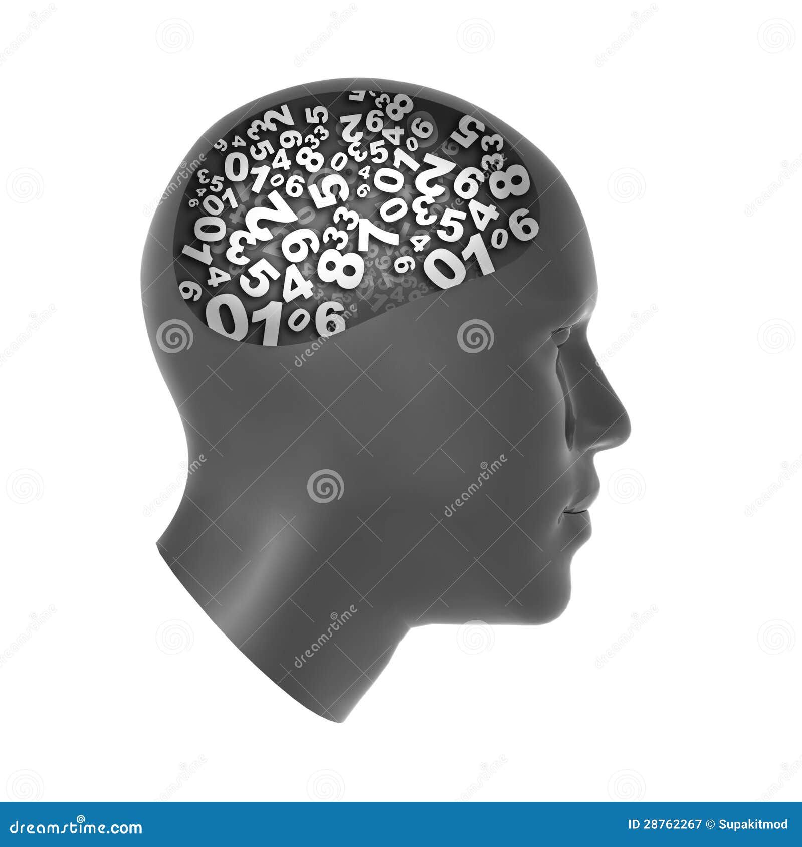 Calculate In Brain Stock Image | CartoonDealer.com #28762267