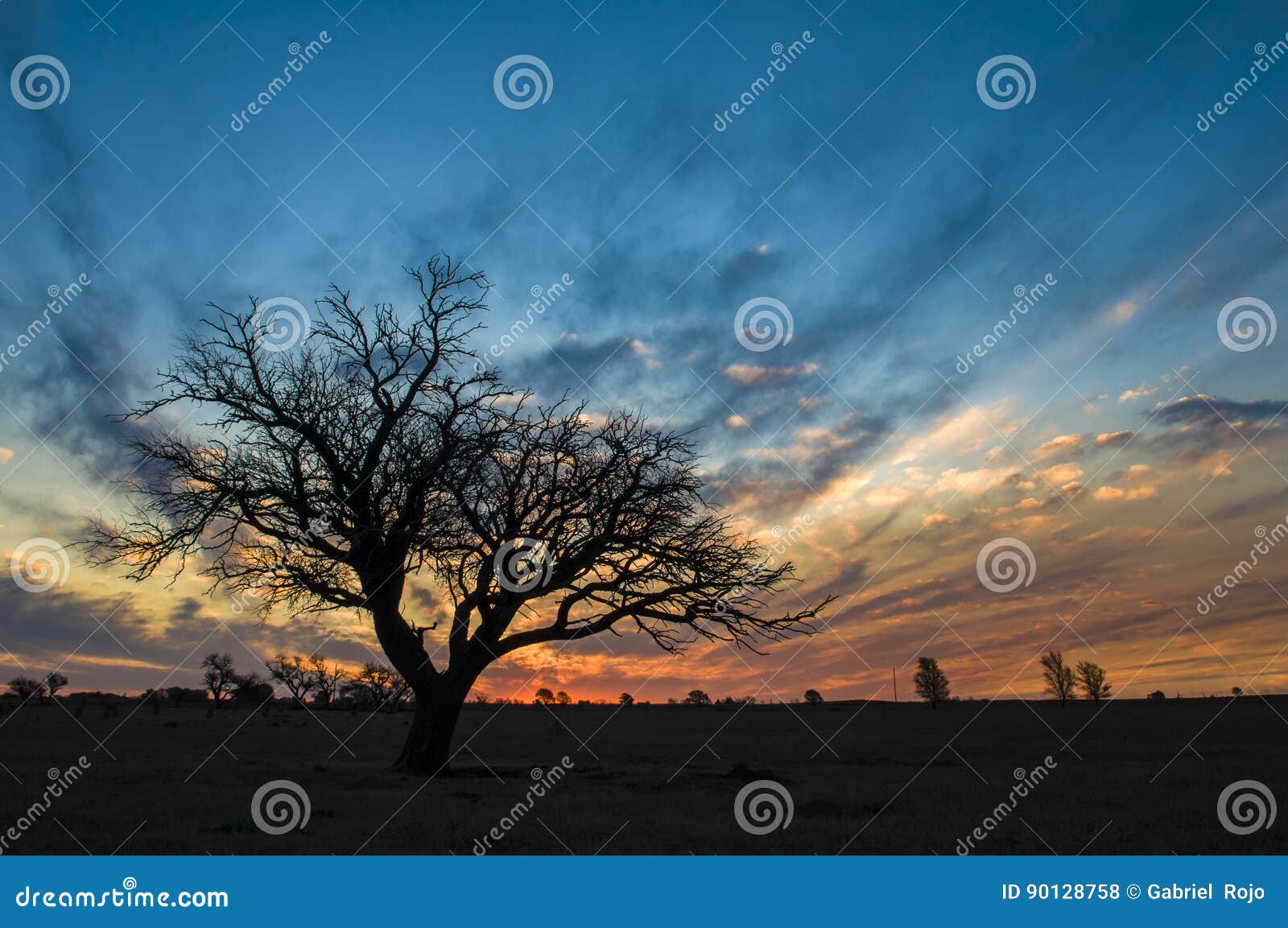 Argentina Dawun Stock Photos - Free & Royalty-Free Stock Photos from ...