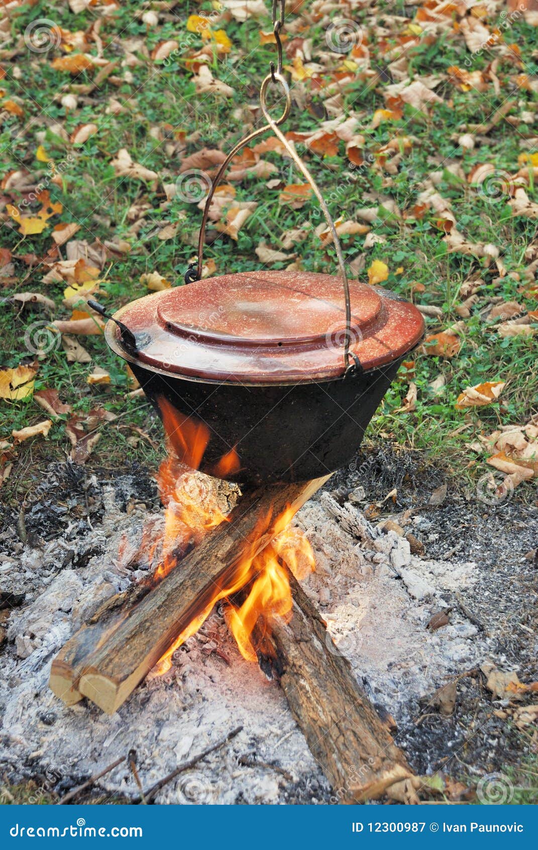 Caldron stock image. Image of food, bowl, boil, ashes - 12300987
