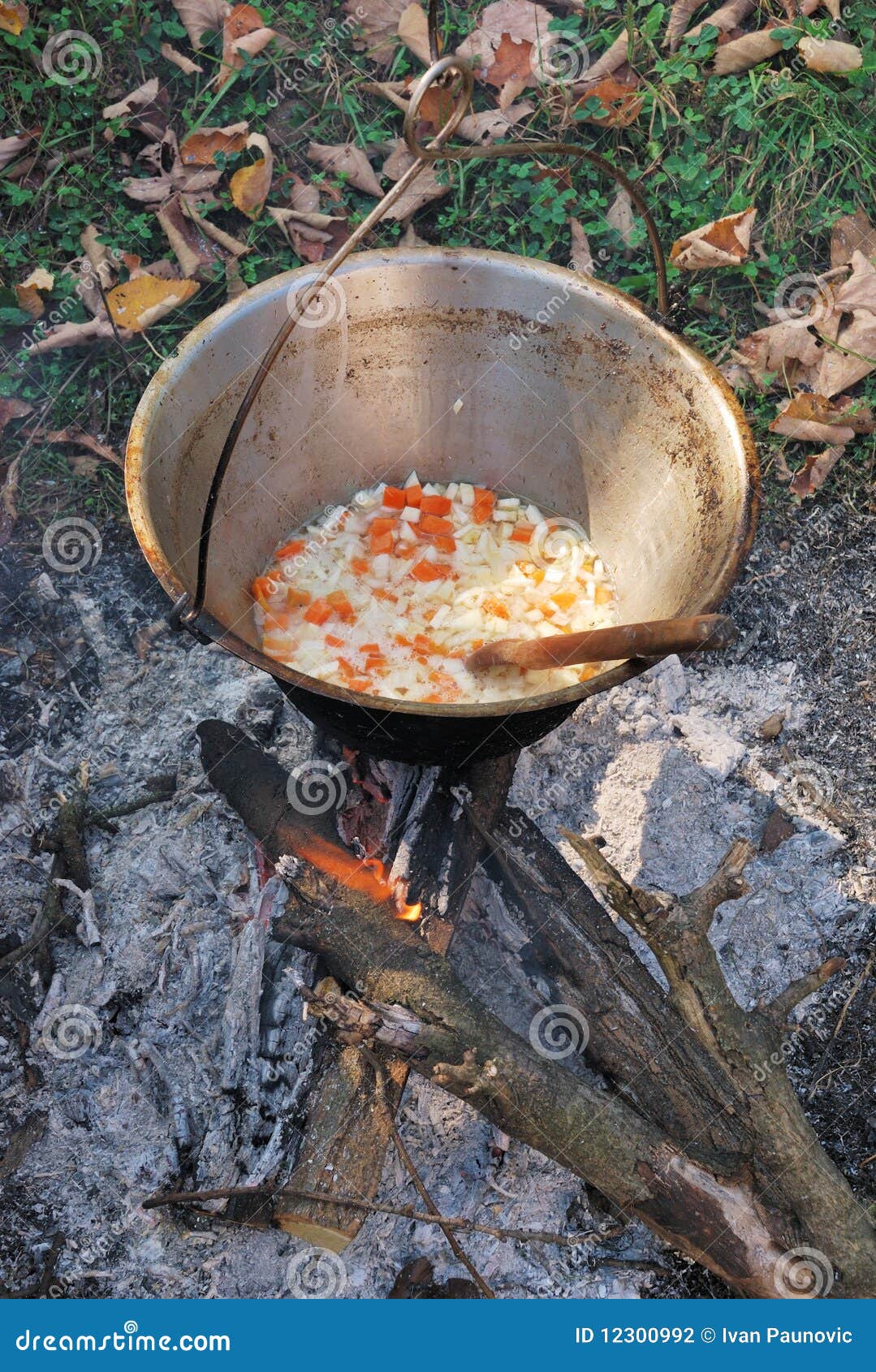 Caldron stock photo. Image of food, bowl, meal, burn - 12300992