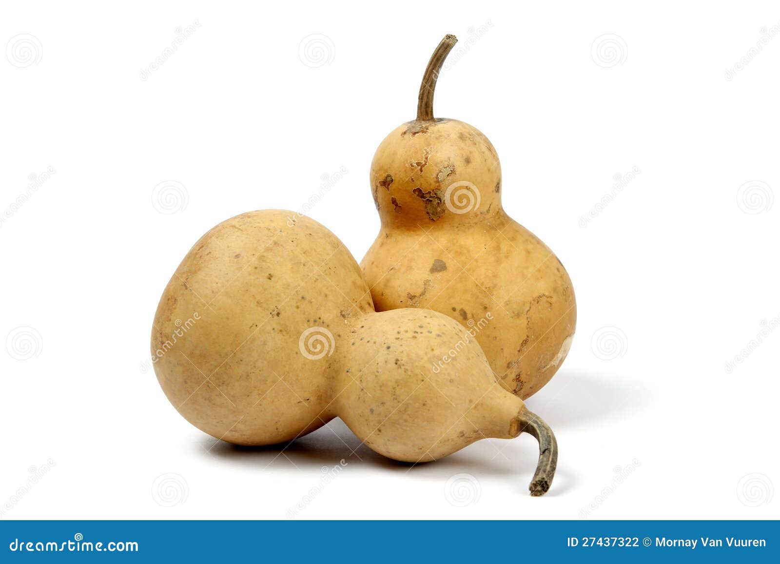 Calebasse Deux Sur Le Blanc Photo stock - Image du agriculture, nature ...