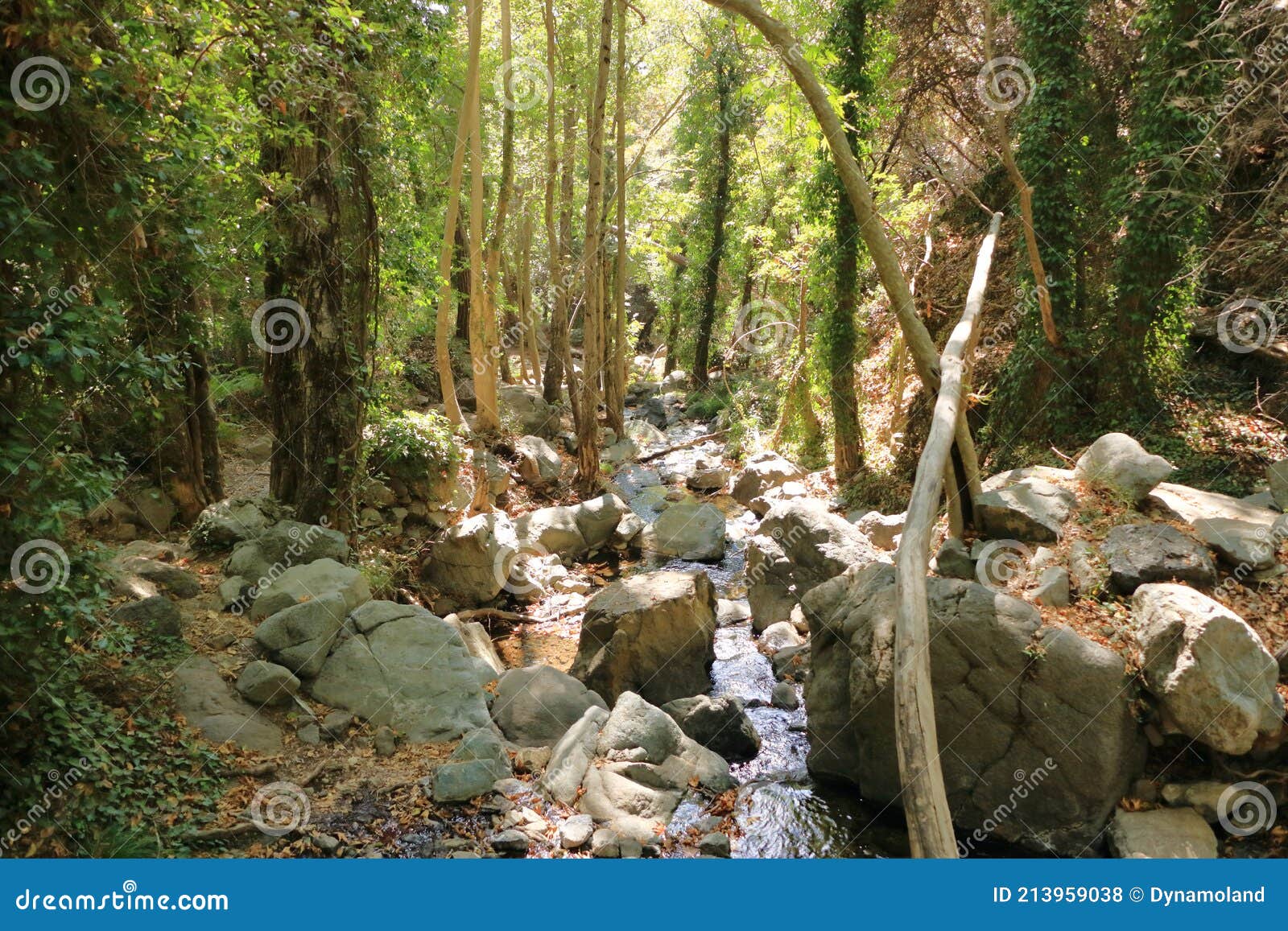 Caledonia Waterfall Trail in the Troodos Mountains in Cyprus Stock ...