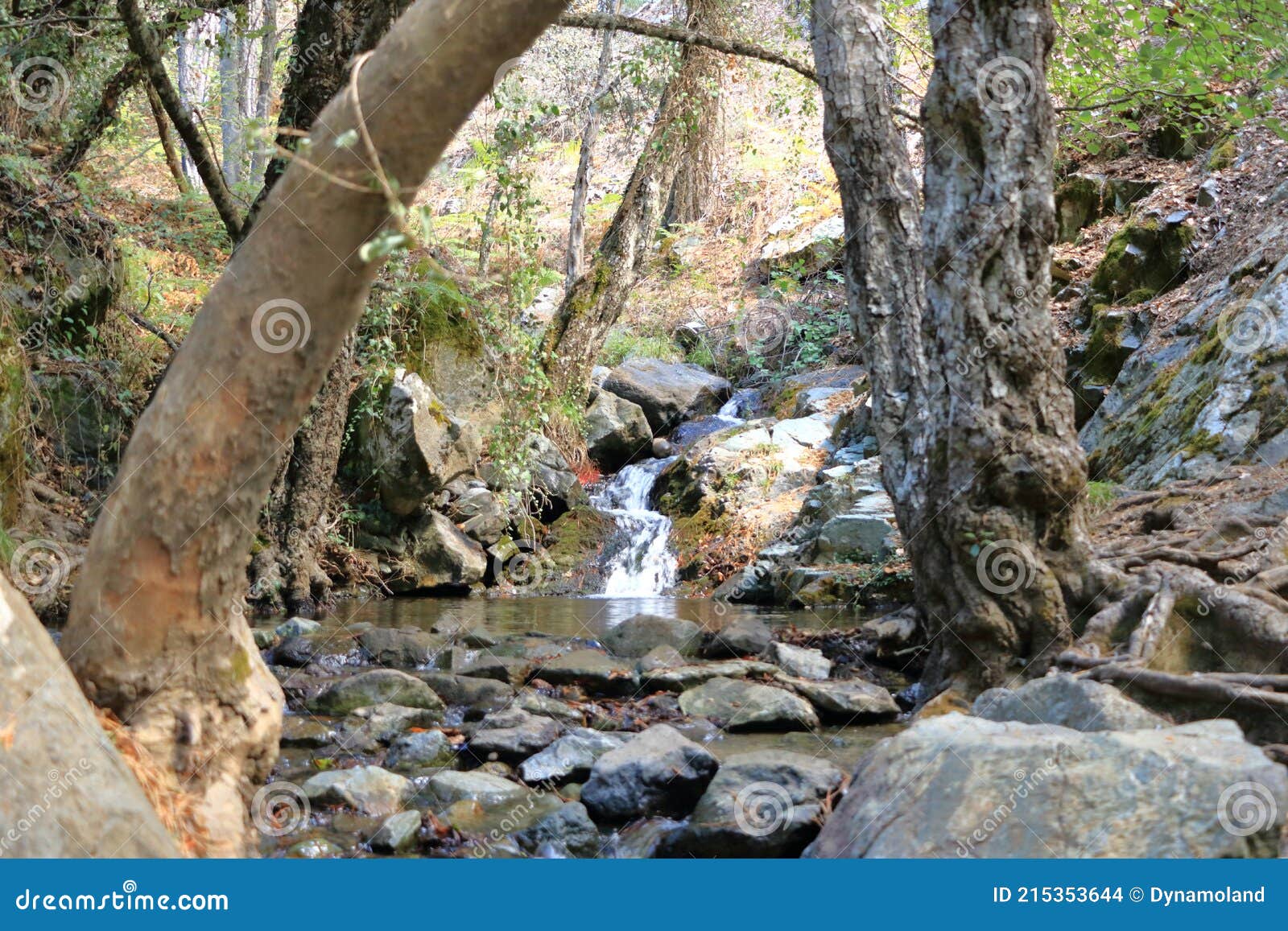 Caledonia Waterfall Trail in the Troodos Mountains in Cyprus Stock ...