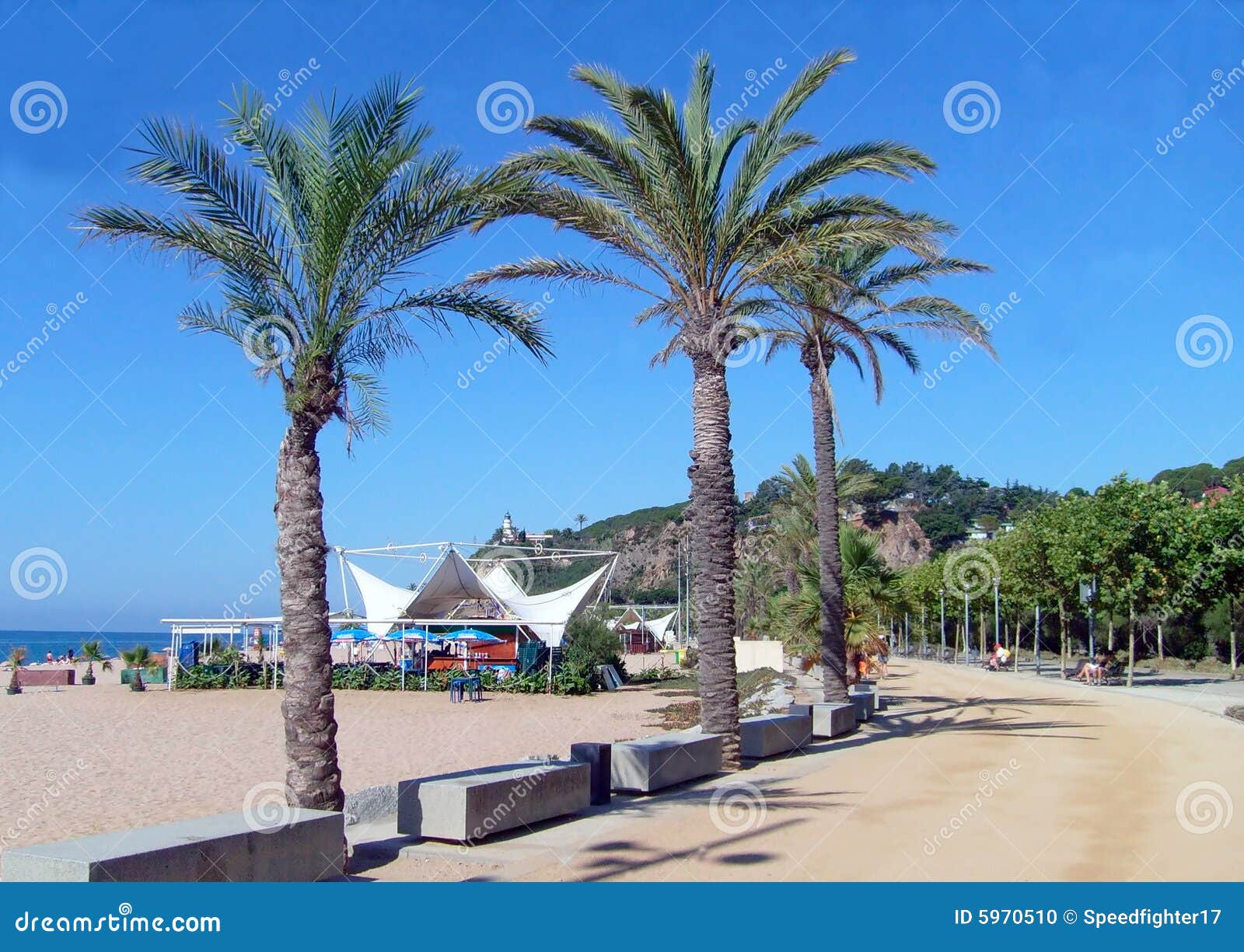 Calella Promenade Spain stock photo. Image of trees, sand - 5970510