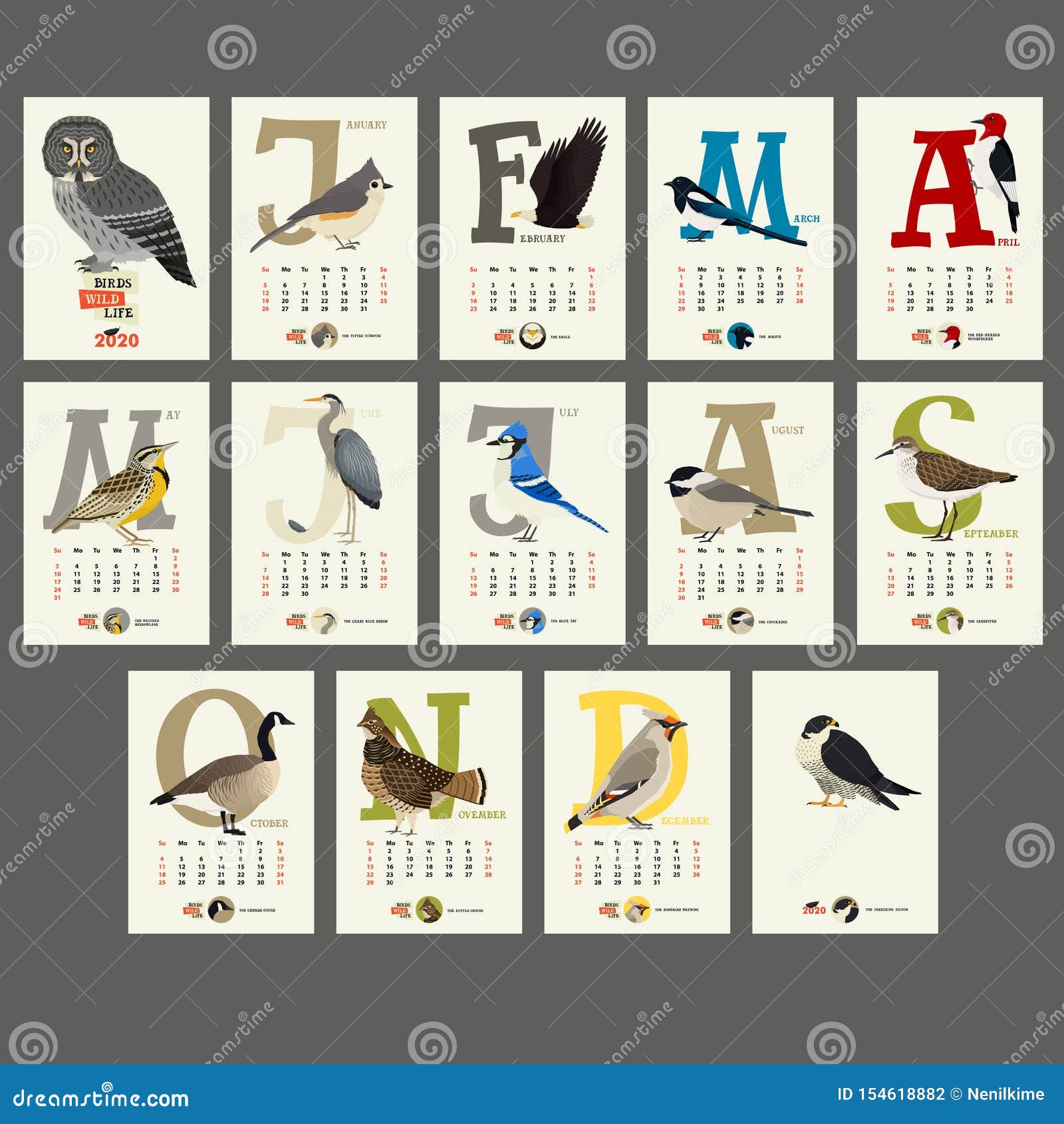 The Calendar 2020 the Birds Wild Life Stock Vector - Illustration of ...