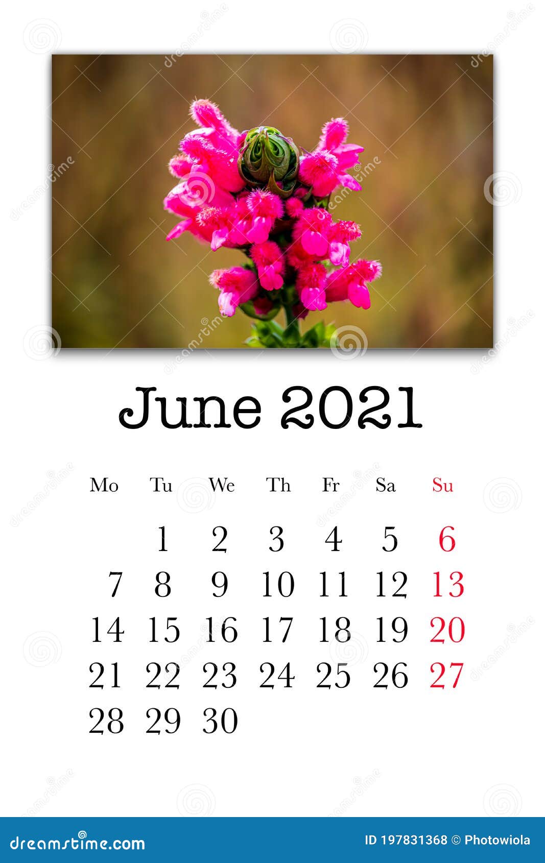 Calendar Card for the Month of June Stock Illustration - Illustration ...