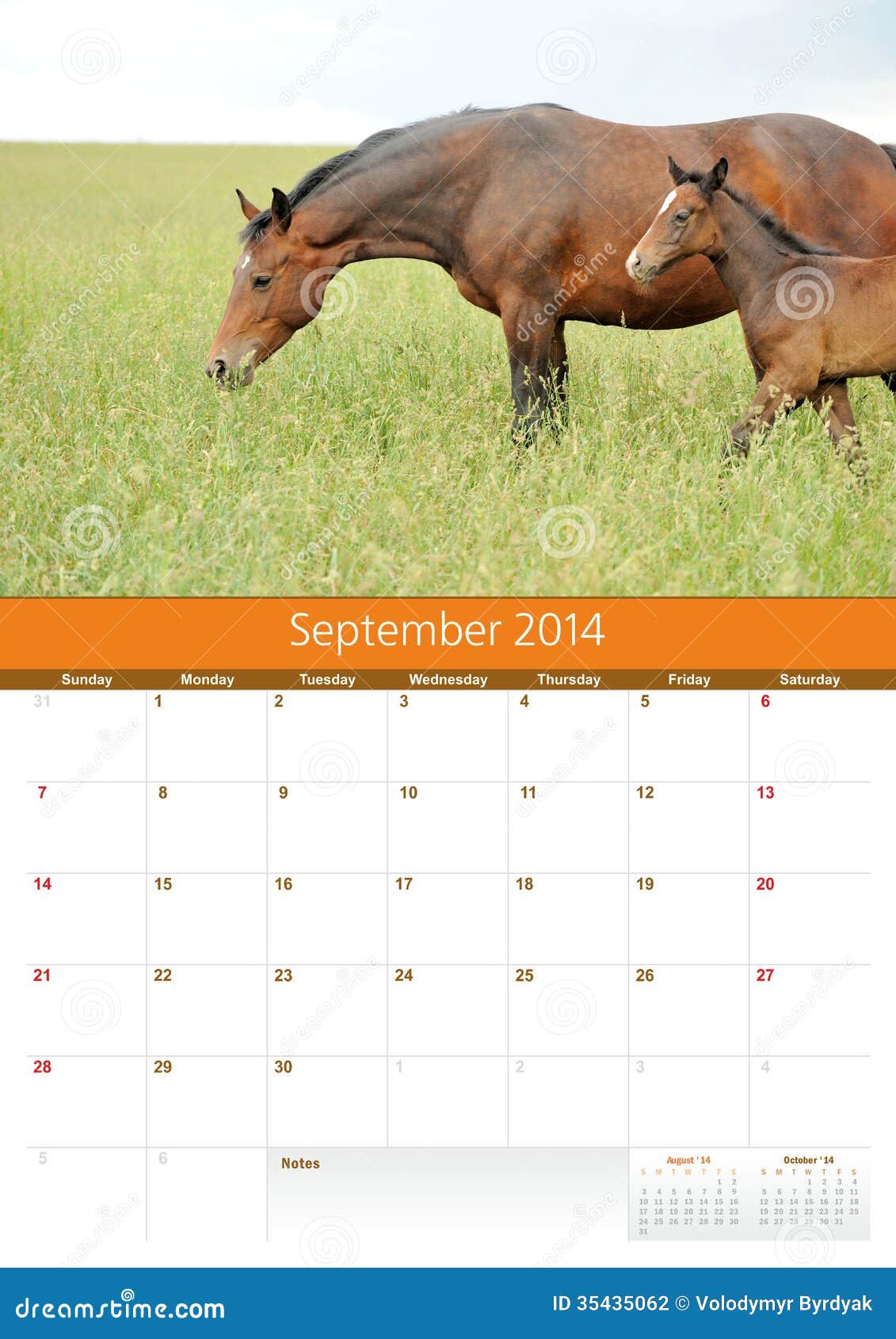 Calendar 2014. Horse. September Stock Photo - Image of organizer ...