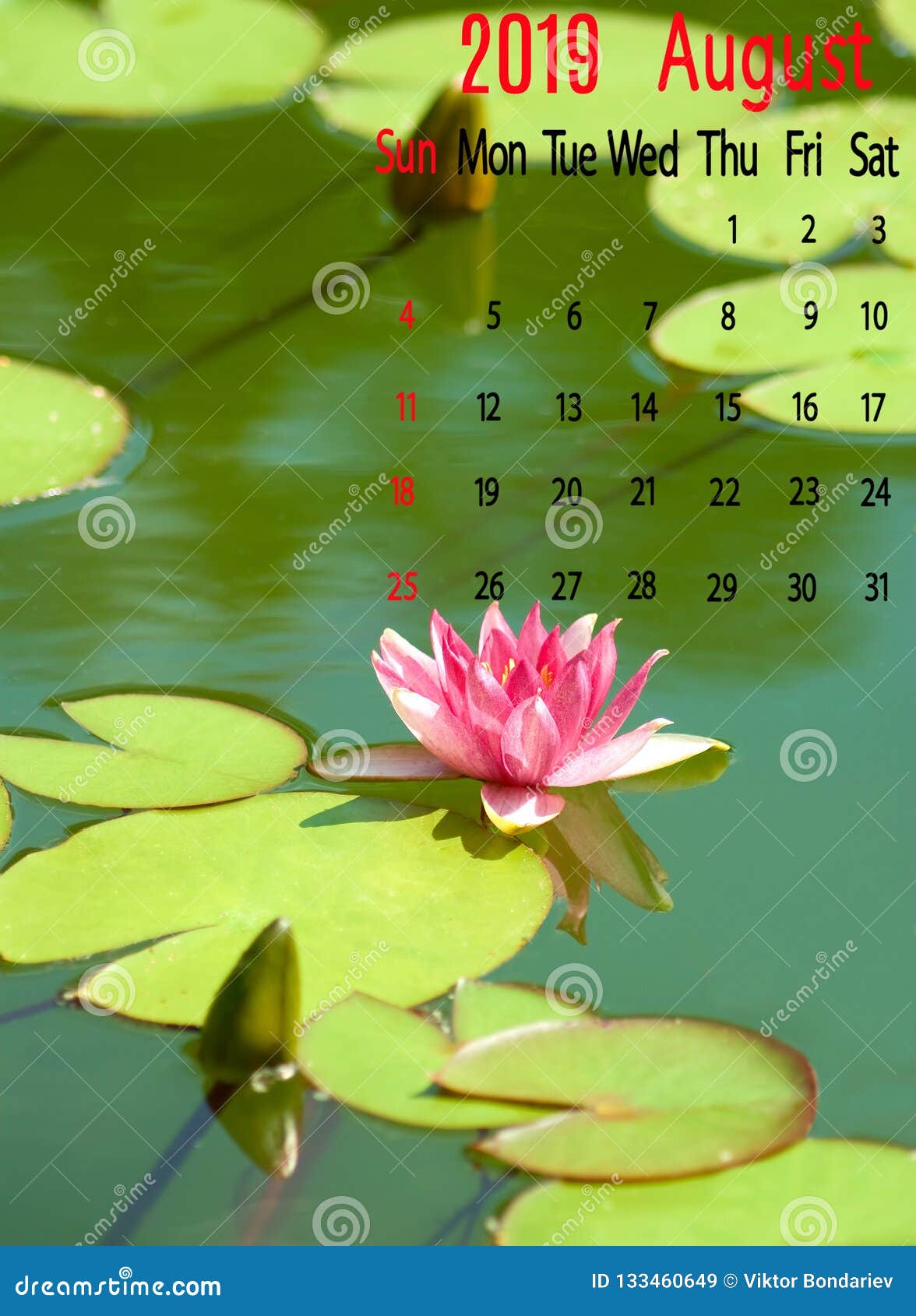 Calendar Image for August 2019 on Lotus Background Closeup Stock Image ...