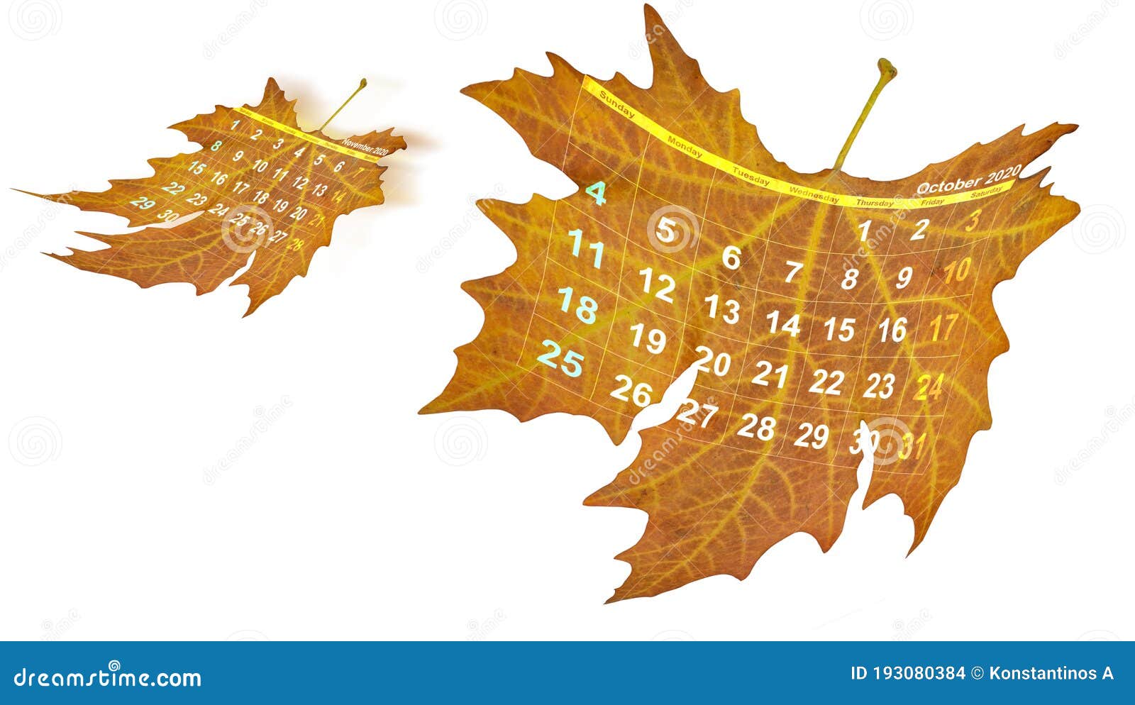 Calendar on Leaf September October 2020 Flying Falling Isolated - 3d ...