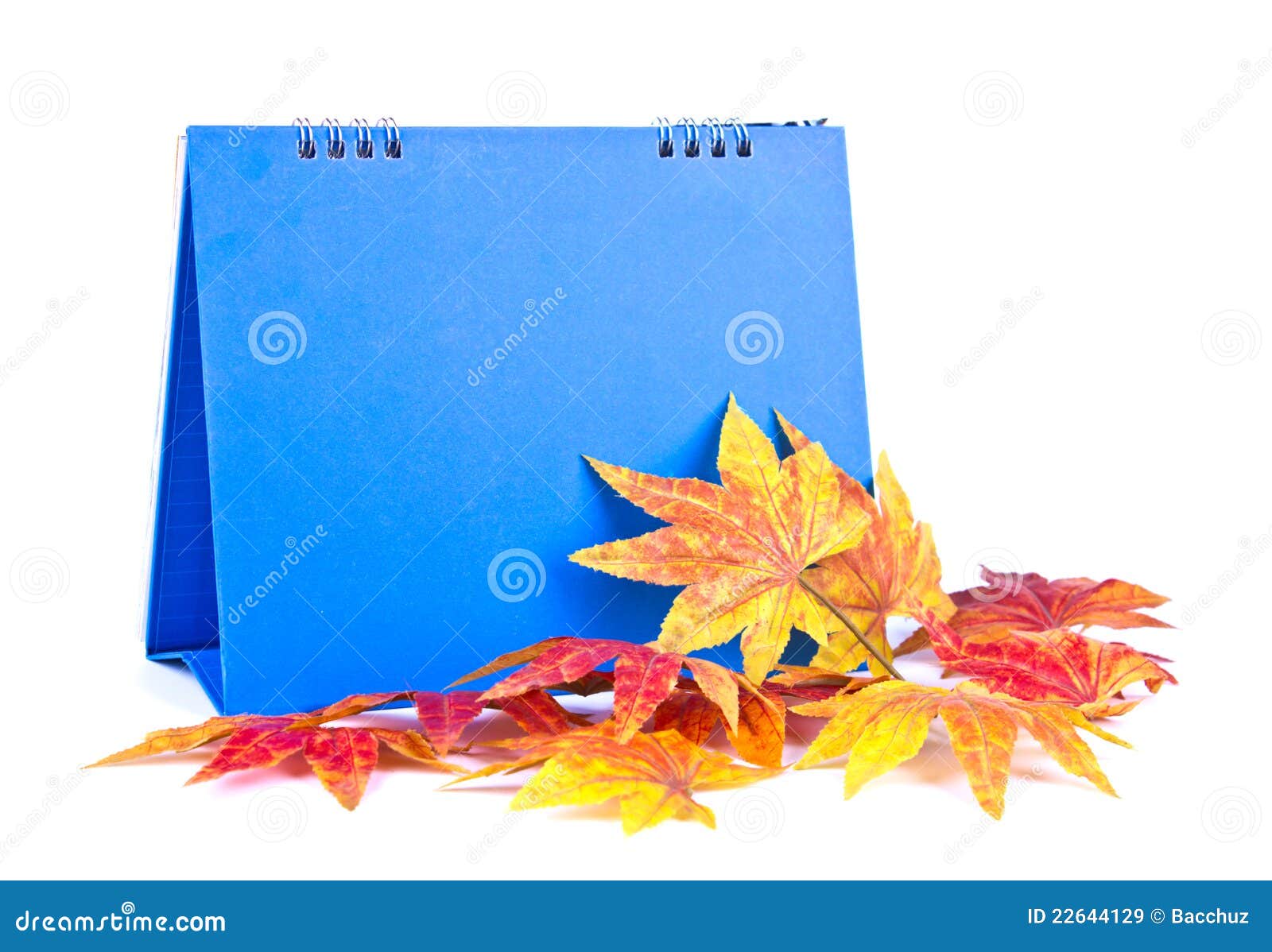 Calendar with maple stock image. Image of calendar, annual - 22644129