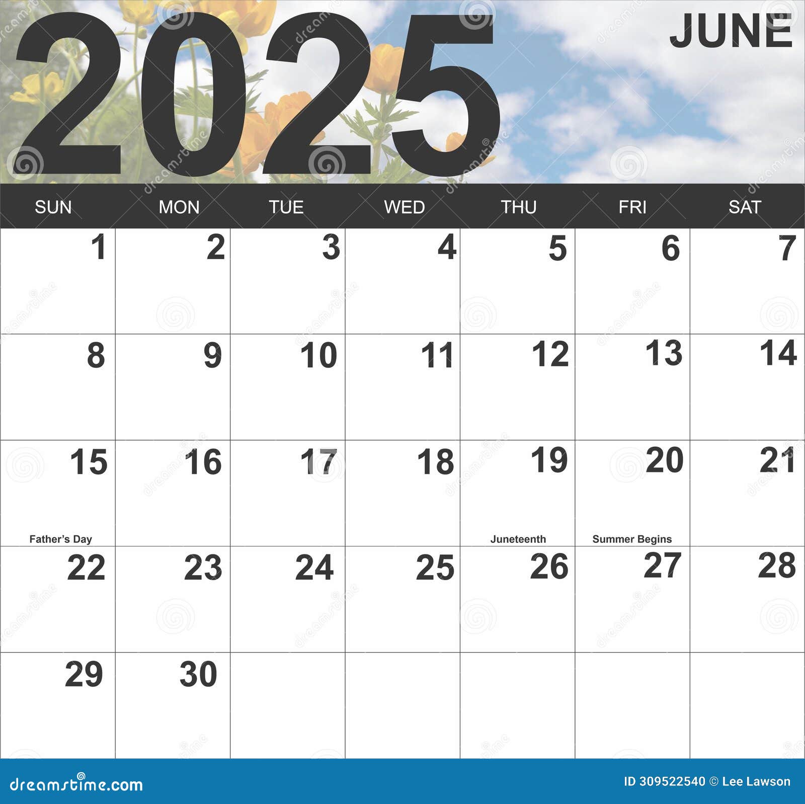 2025 Calendar for the Month of June Stock Illustration - Illustration ...